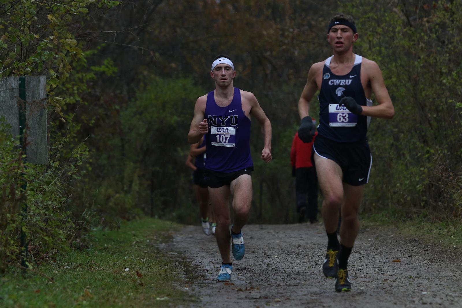 Brandon Mayo - 2019 - Men's Cross Country - NYU Athletics