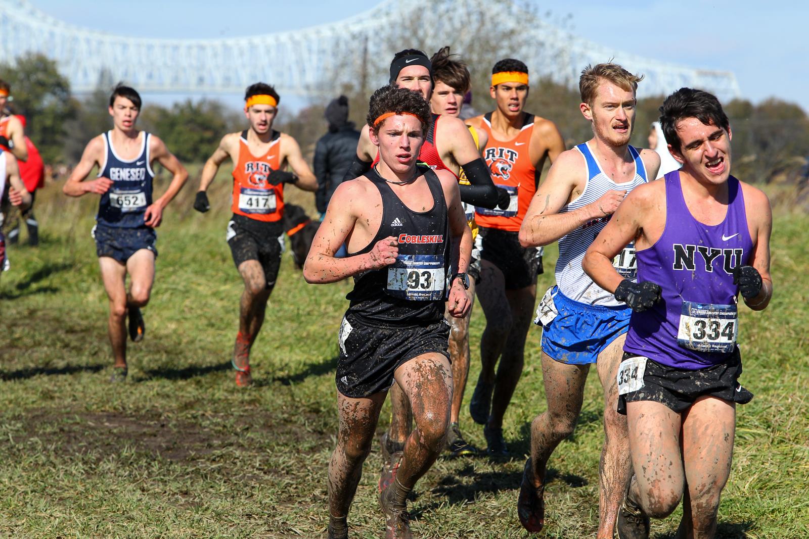 Dillan Spector - 2021 - Men's Cross Country - NYU Athletics