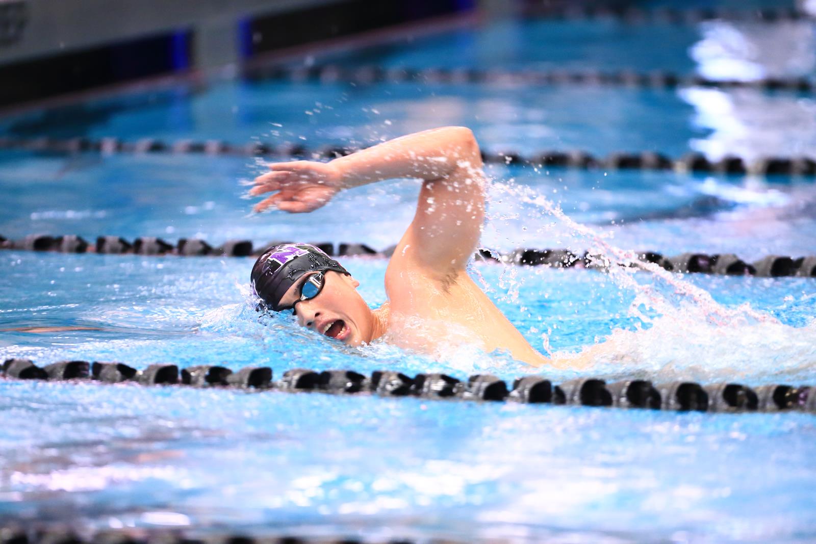 Jordan Chen - 2019-20 - Men's Swimming & Diving - NYU Athletics
