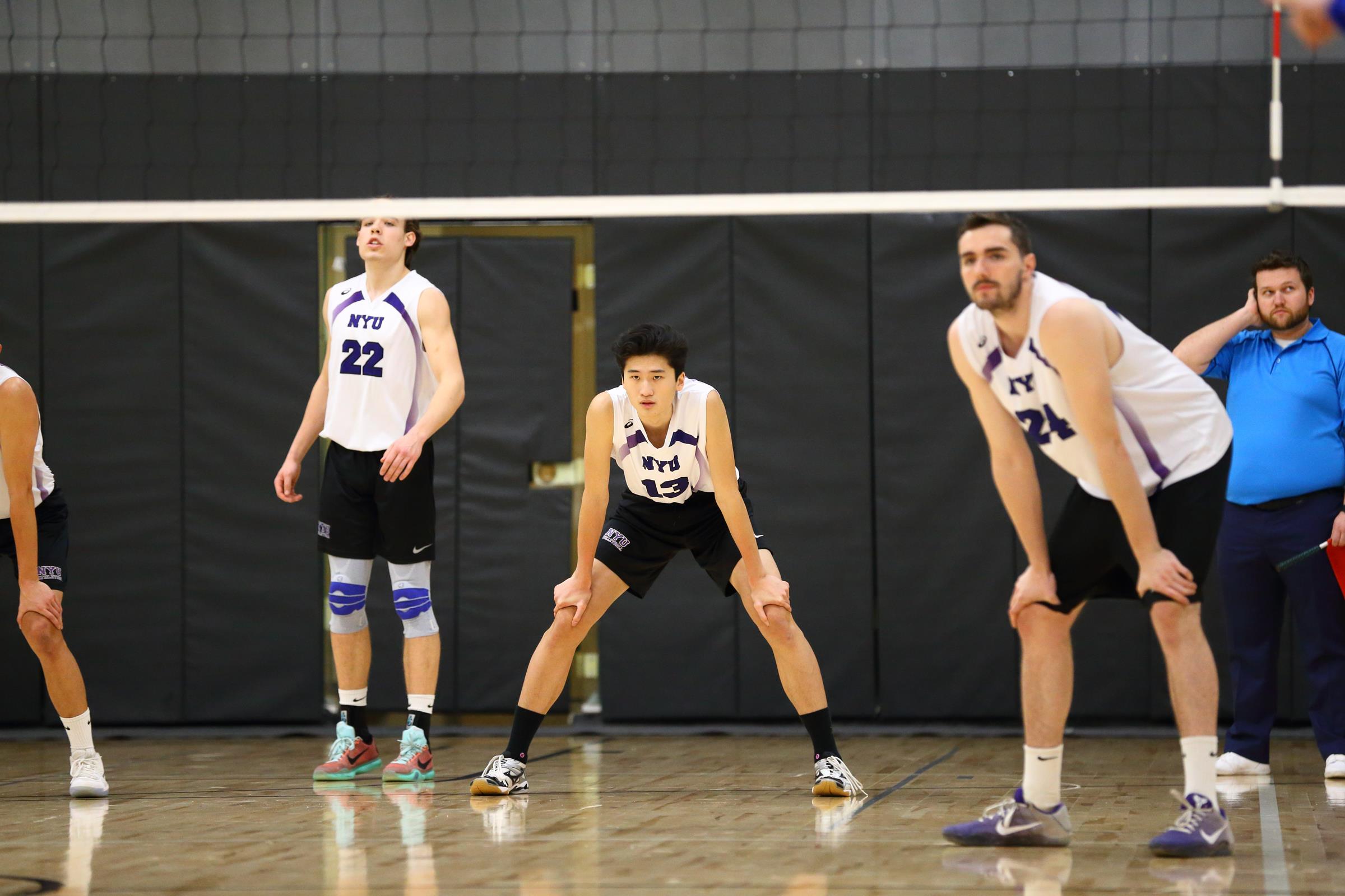Ethan Talkov - 2019 - Men's Volleyball - NYU Athletics