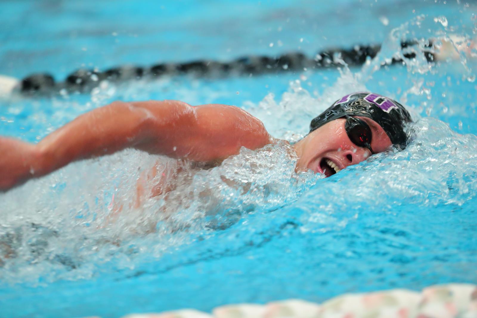 Nick Tran - 2019-20 - Men's Swimming & Diving - NYU Athletics