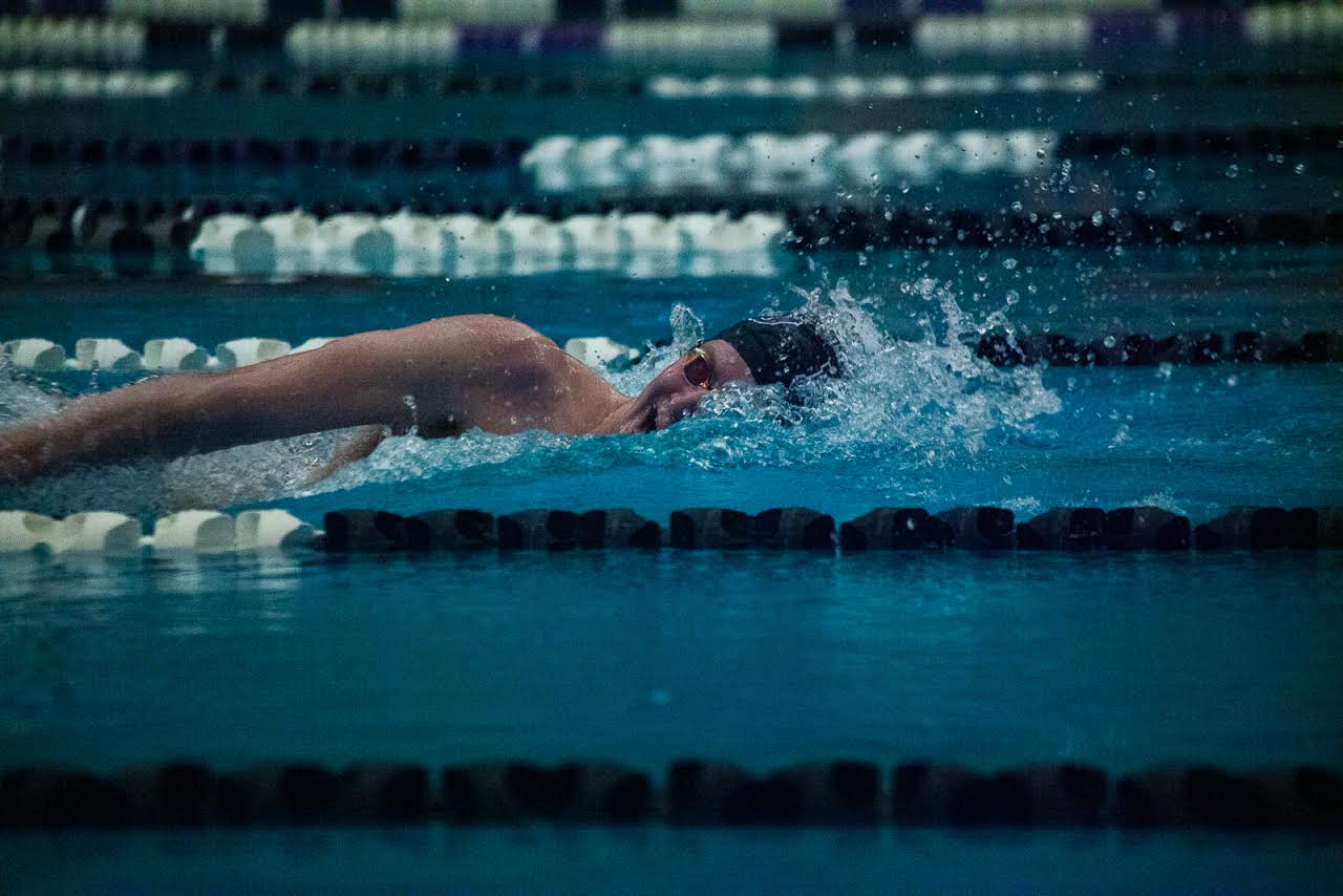 William Looney - 2019-20 - Men's Swimming & Diving - NYU Athletics