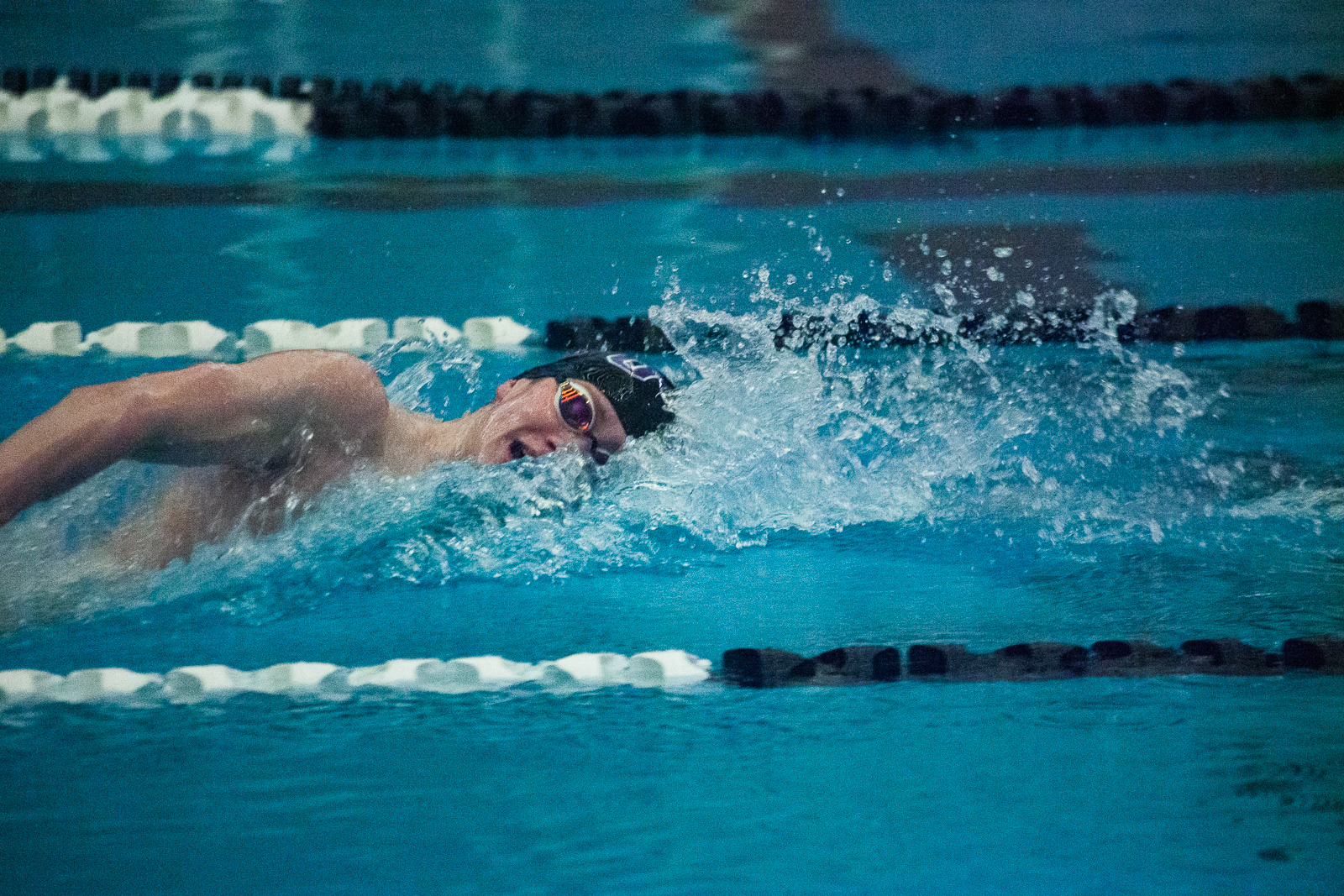 Peyton Lucas - 2019-20 - Men's Swimming & Diving - NYU Athletics