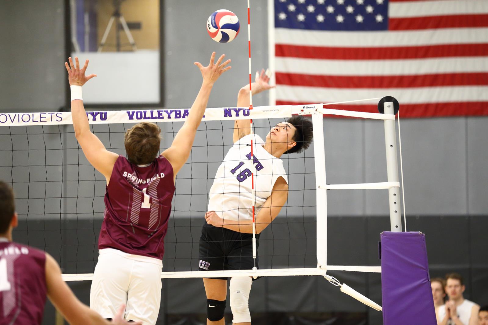 Adam Lee - 2019 - Men's Volleyball - NYU Athletics