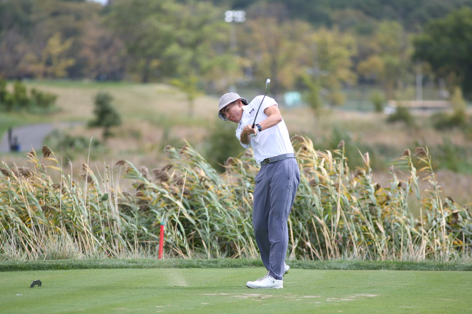 Matt Shen - 2019-20 - Men's Golf - NYU Athletics