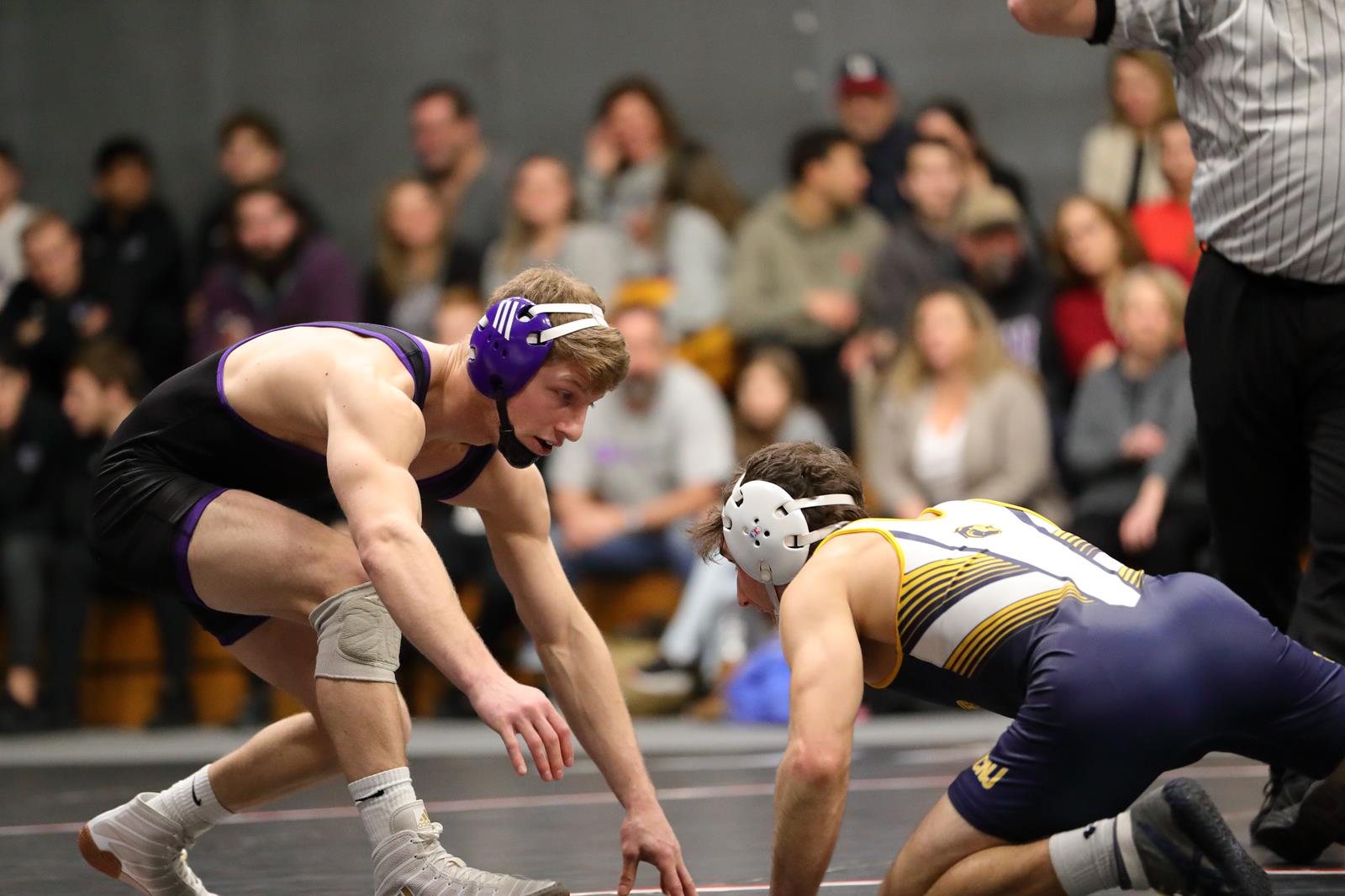 Evan Drill - 2019-20 - Wrestling - NYU Athletics