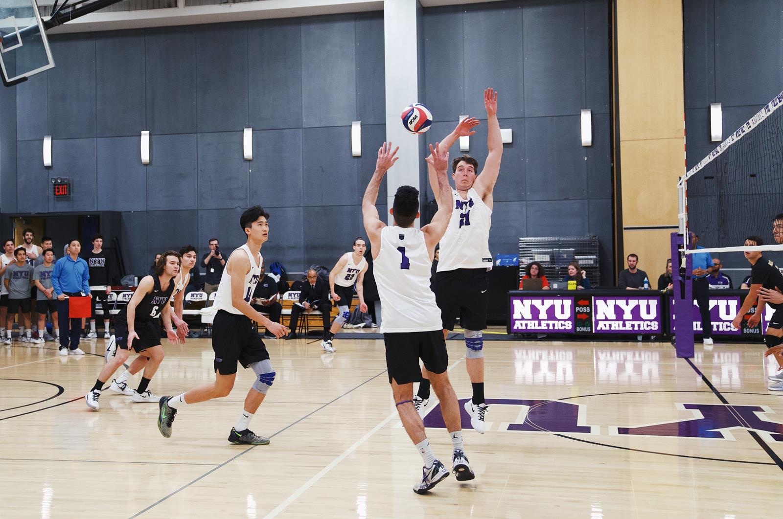Tyler Flood - 2022 - Men's Volleyball - NYU Athletics