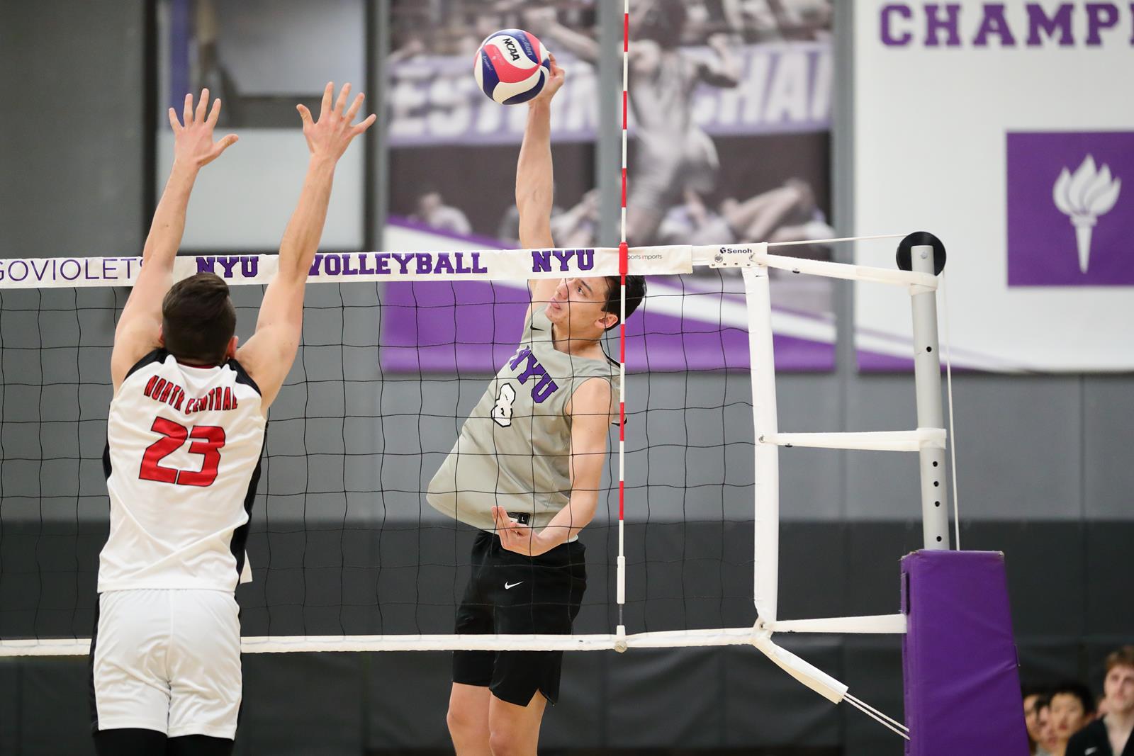 James Haag - 2022 - Men's Volleyball - NYU Athletics
