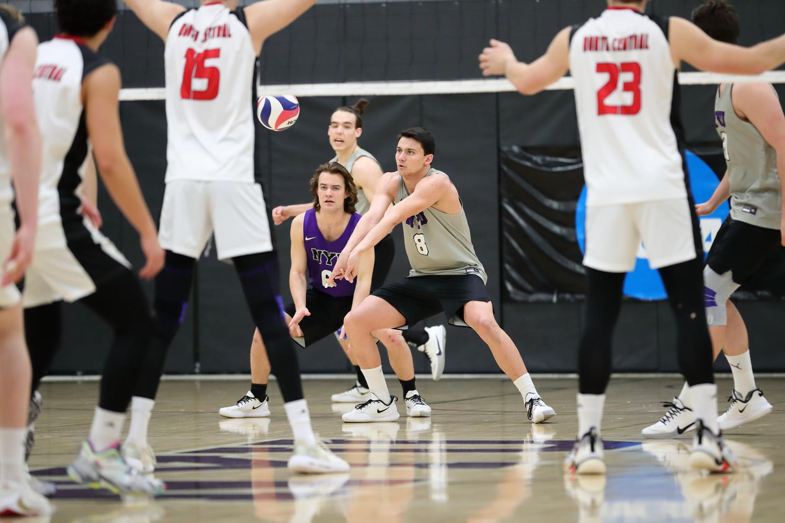 James Haag - 2022 - Men's Volleyball - NYU Athletics