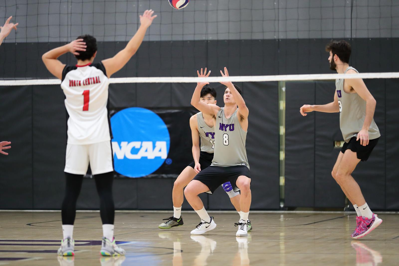 James Haag - 2022 - Men's Volleyball - NYU Athletics
