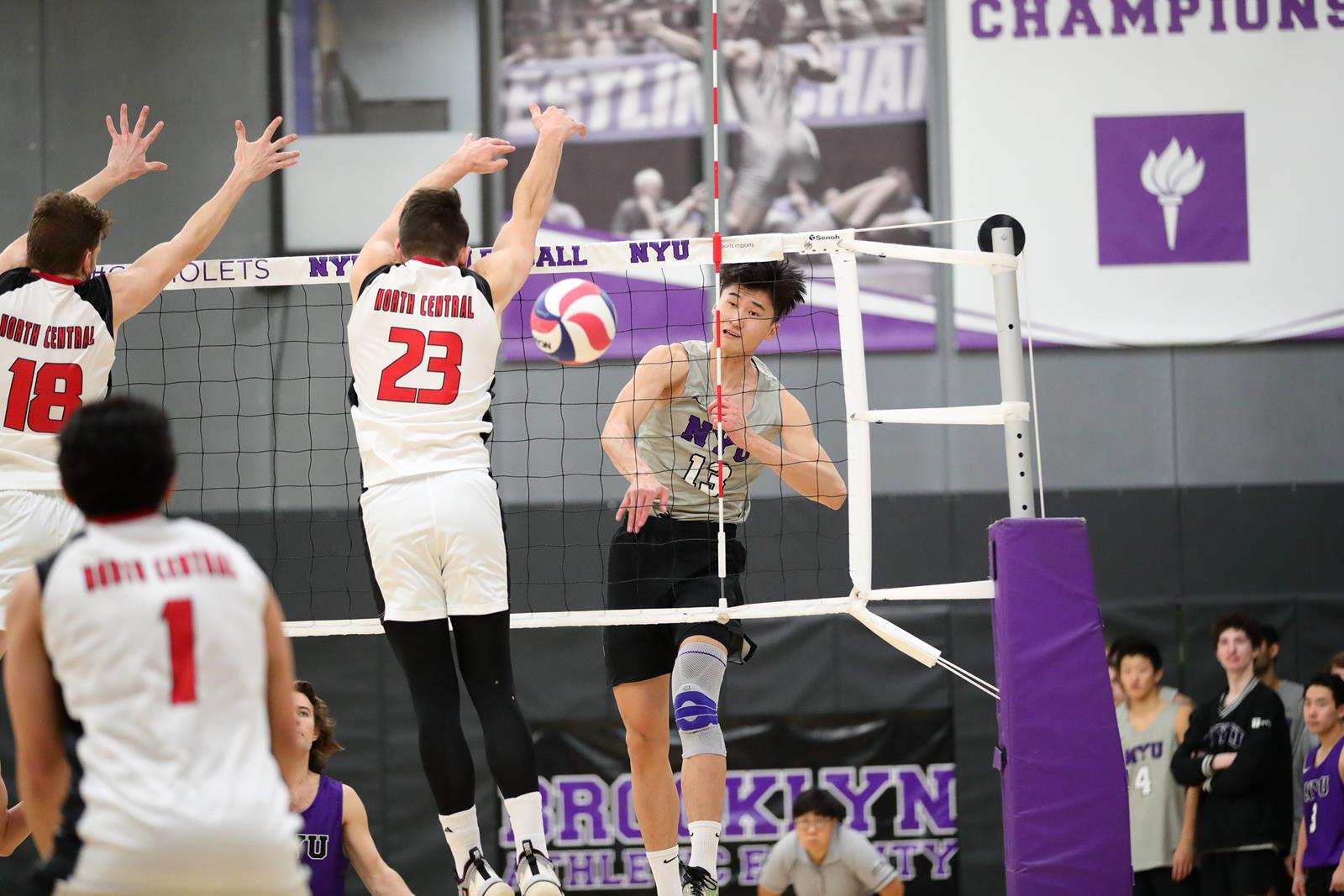 Alex Li - 2020 - Men's Volleyball - NYU Athletics
