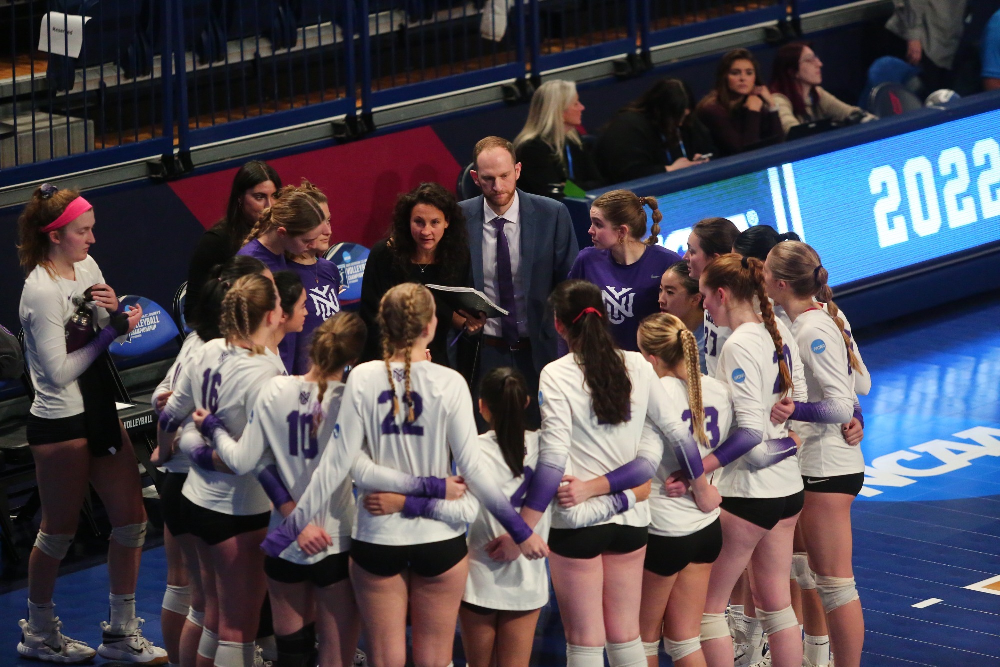 Women's Volleyball Falls in Final Four - NYU Athletics
