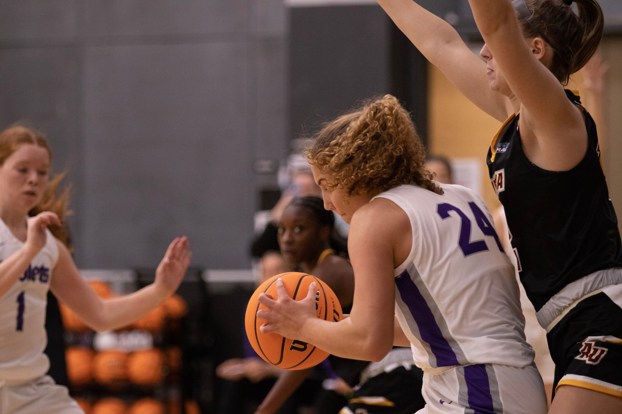 Reese Tremitiere - 2023-24 - Women's Basketball - NYU Athletics