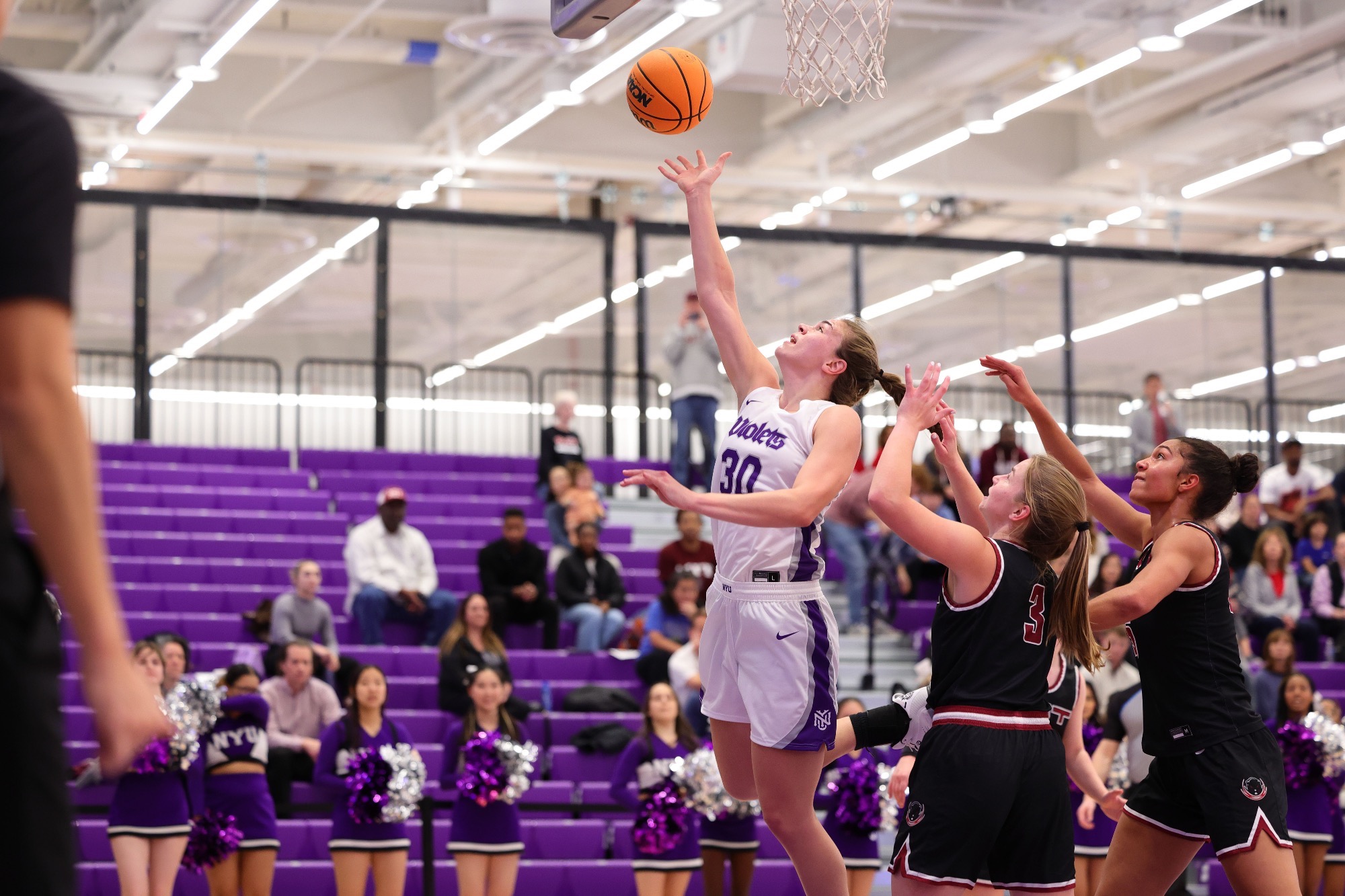 Morgan Morrison - 2023-24 - Women's Basketball - NYU Athletics