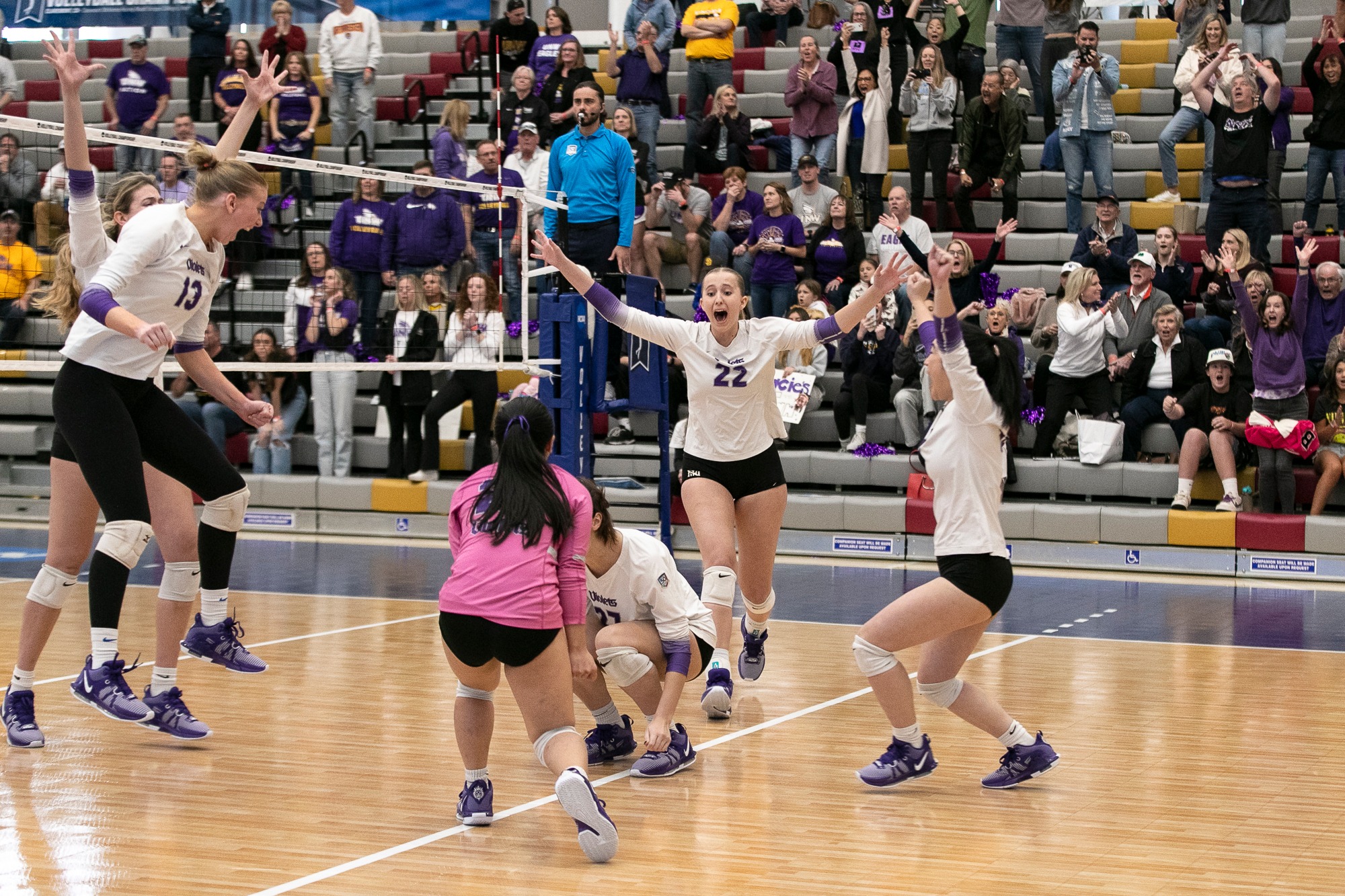 Women's Volleyball Returns to NCAA Final Four - NYU Athletics