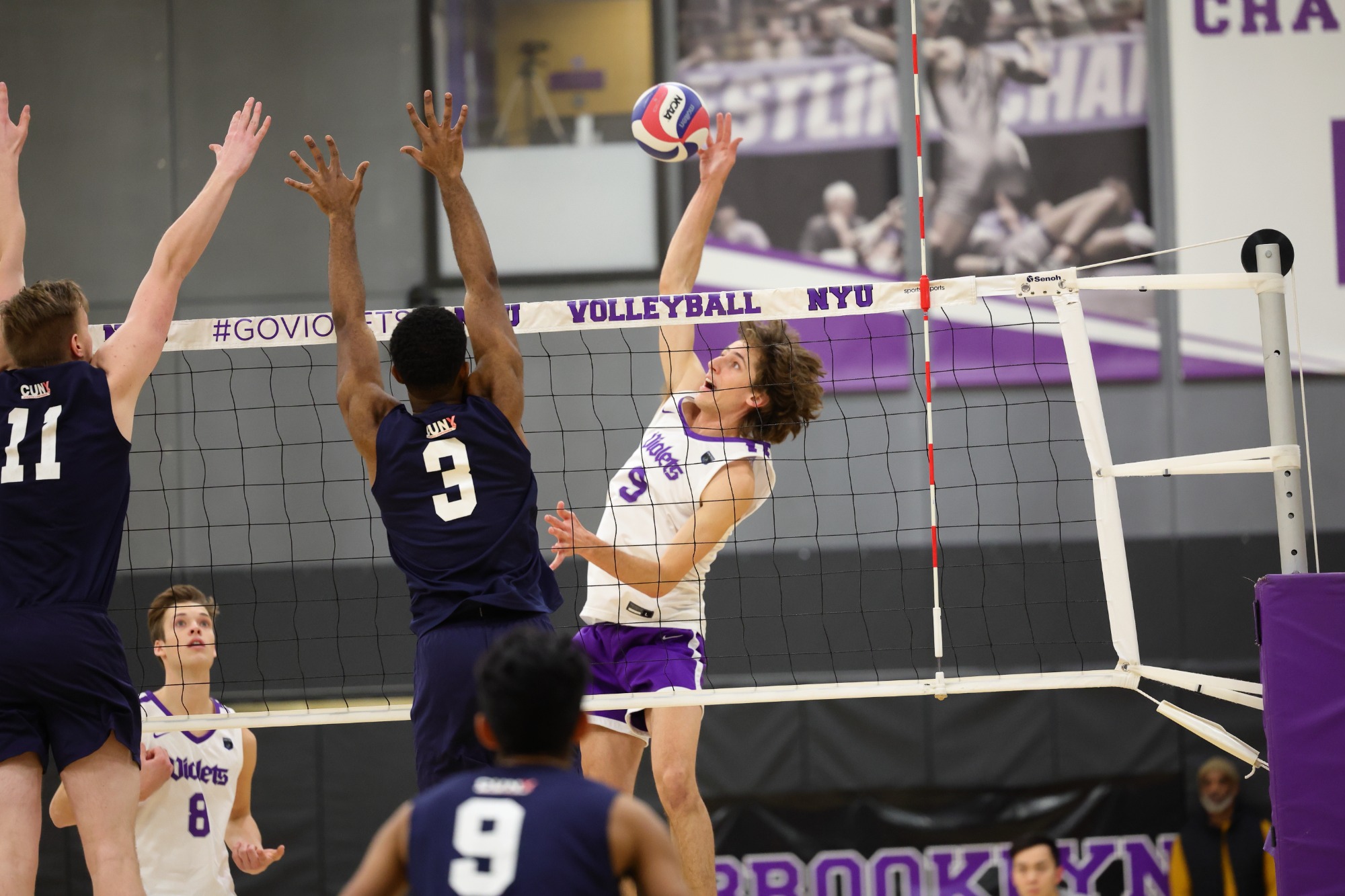 Men's Volleybal Wins Season Opener - NYU Athletics