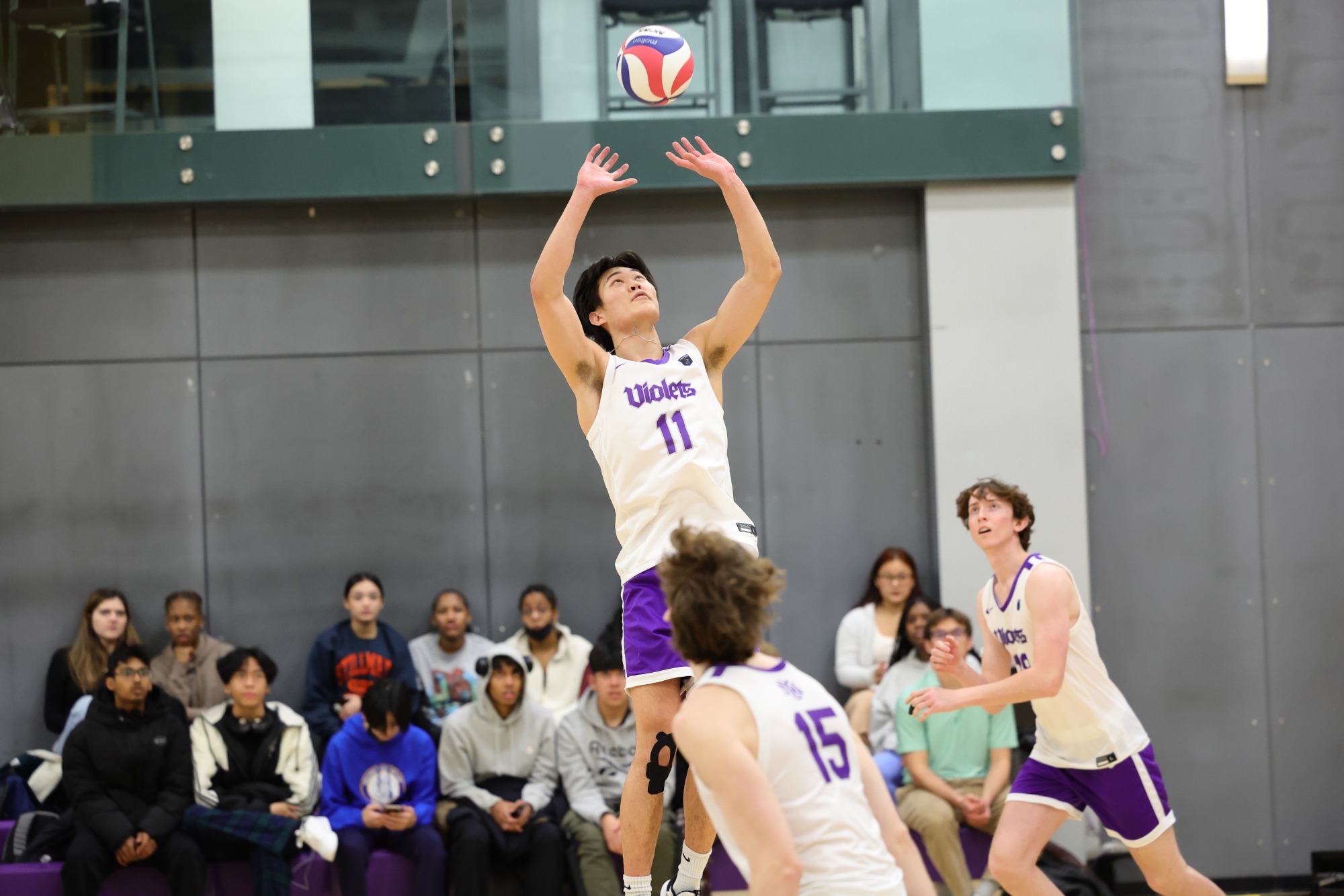 #8 Violets Fall to Top-Ranked Stevens - NYU Athletics