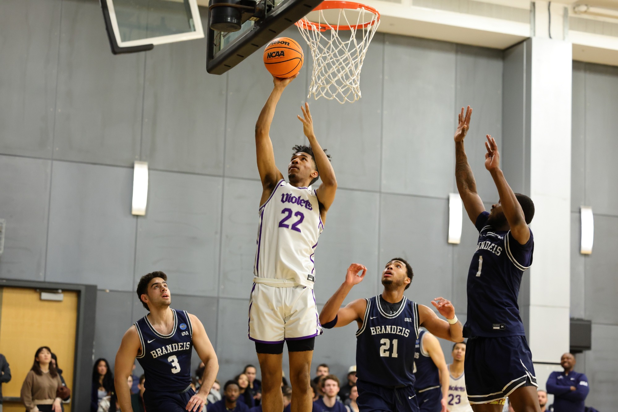 Men's Basketball Leaves California with Another Win - NYU Athletics
