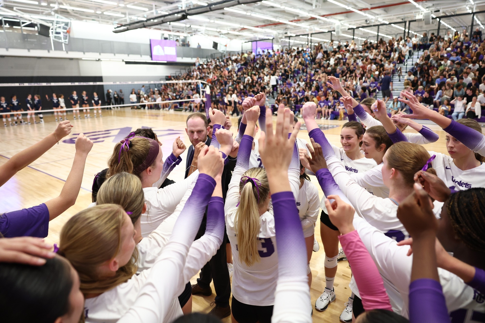 Women's Volleyball Sweeps a Pair - NYU Athletics