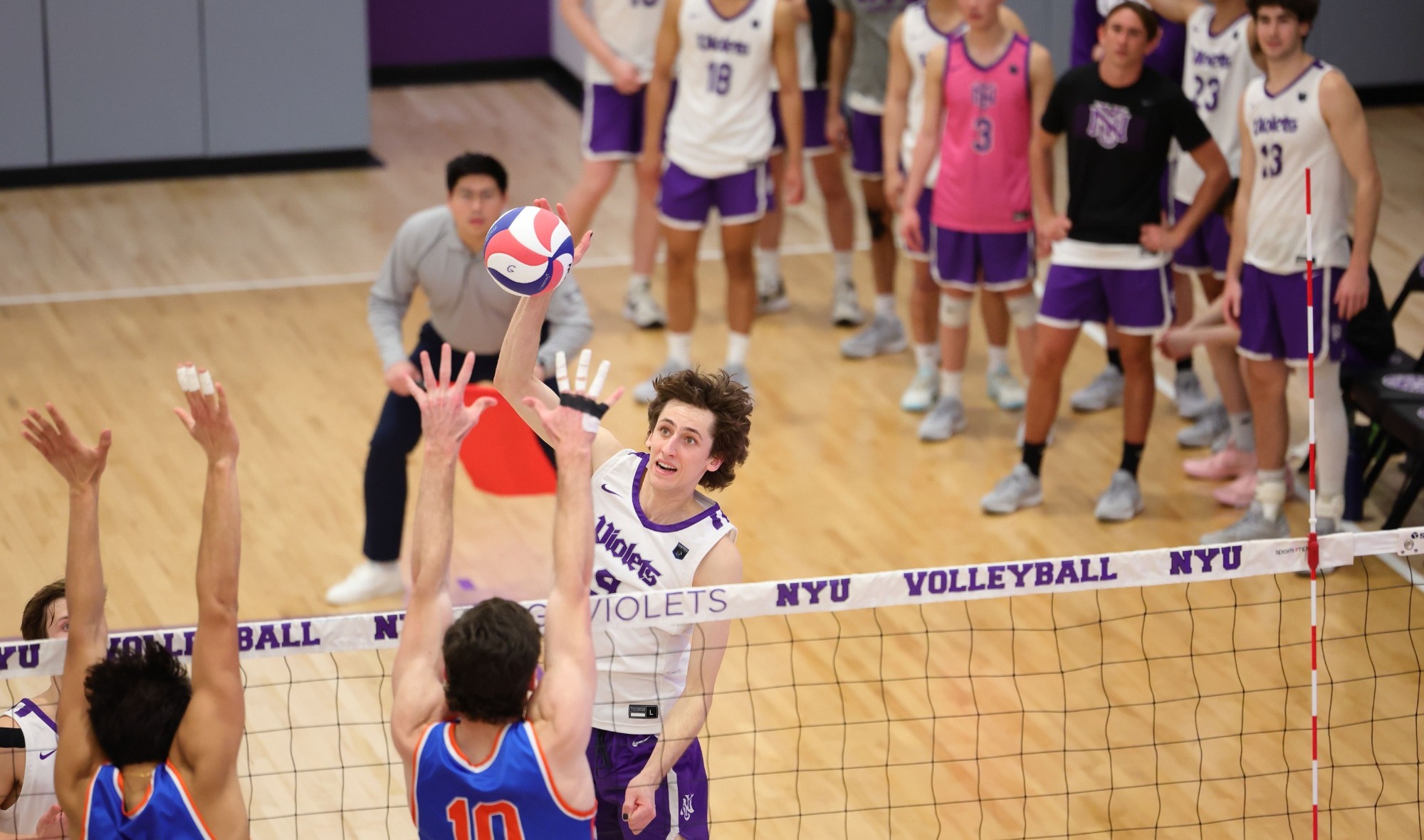 Men's Volleyball Wins at Home - NYU Athletics