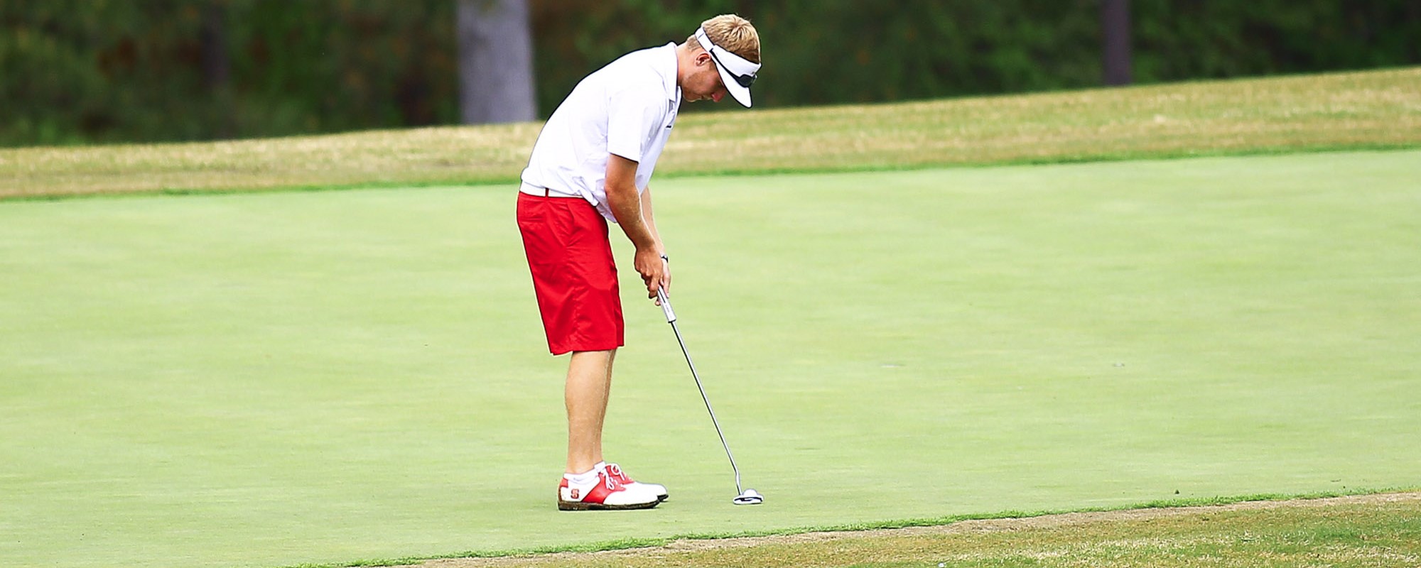 David Cooke - 2015-16 - Men's Golf - NC State University Athletics