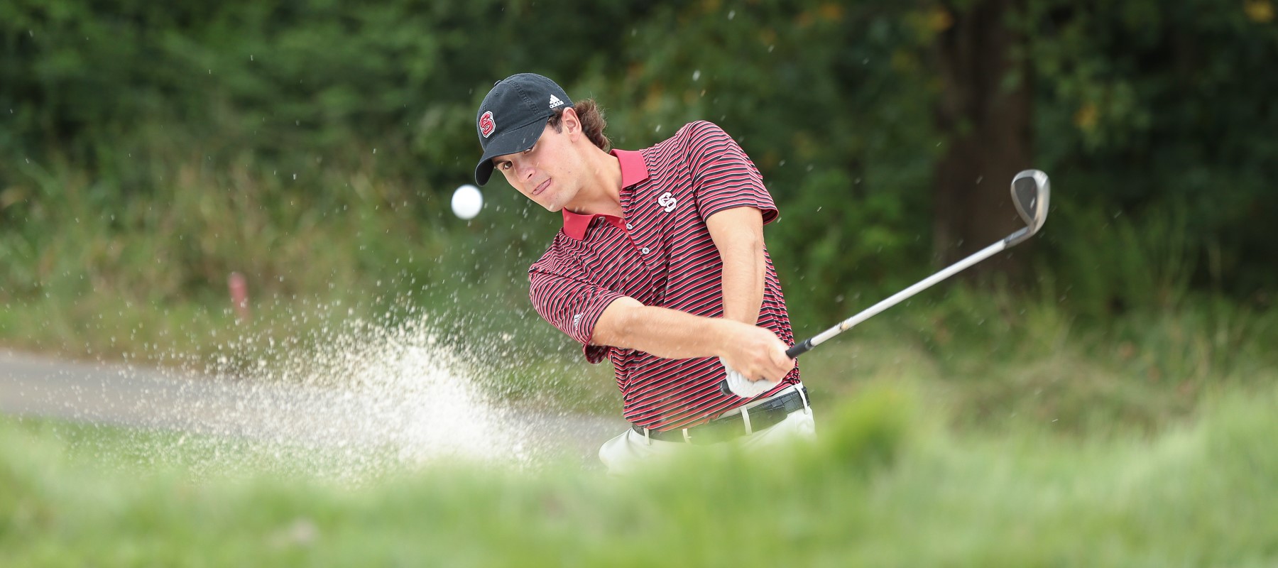 Dwight Cauthen - 2017-18 - Men's Golf - NC State University Athletics