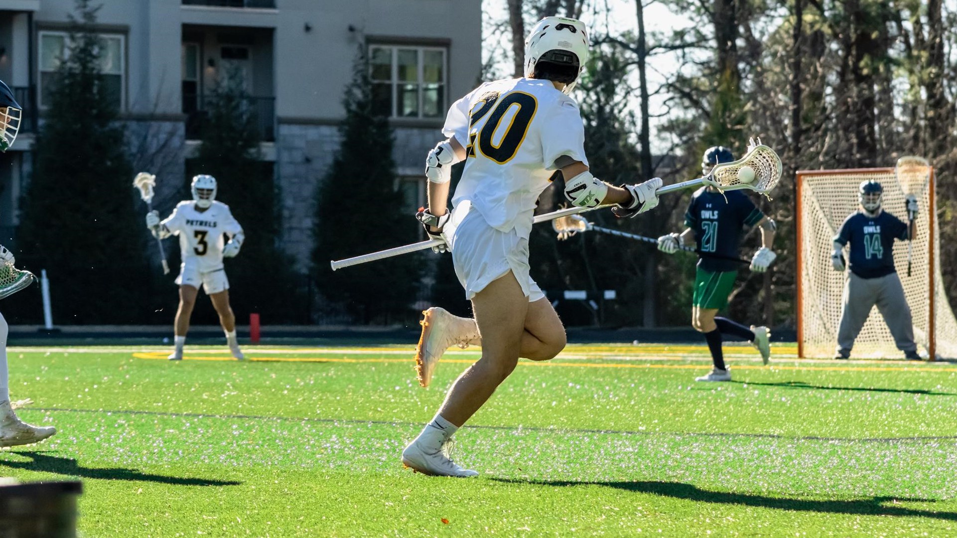 Collin Sides - 2023 - Men's Lacrosse - Oglethorpe University