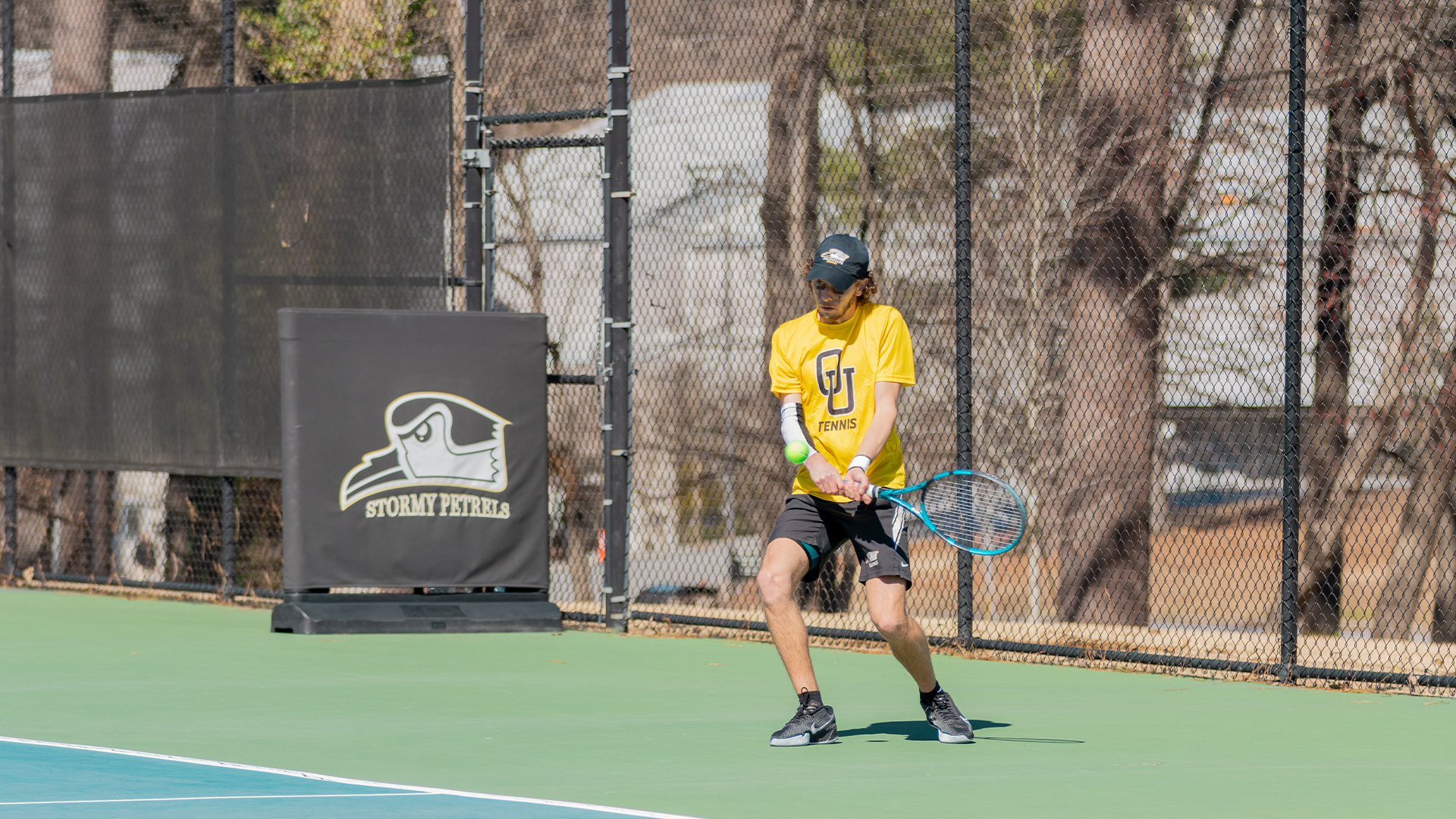 Daniel Cohen - 2023-24 - Men's Tennis - Oglethorpe University