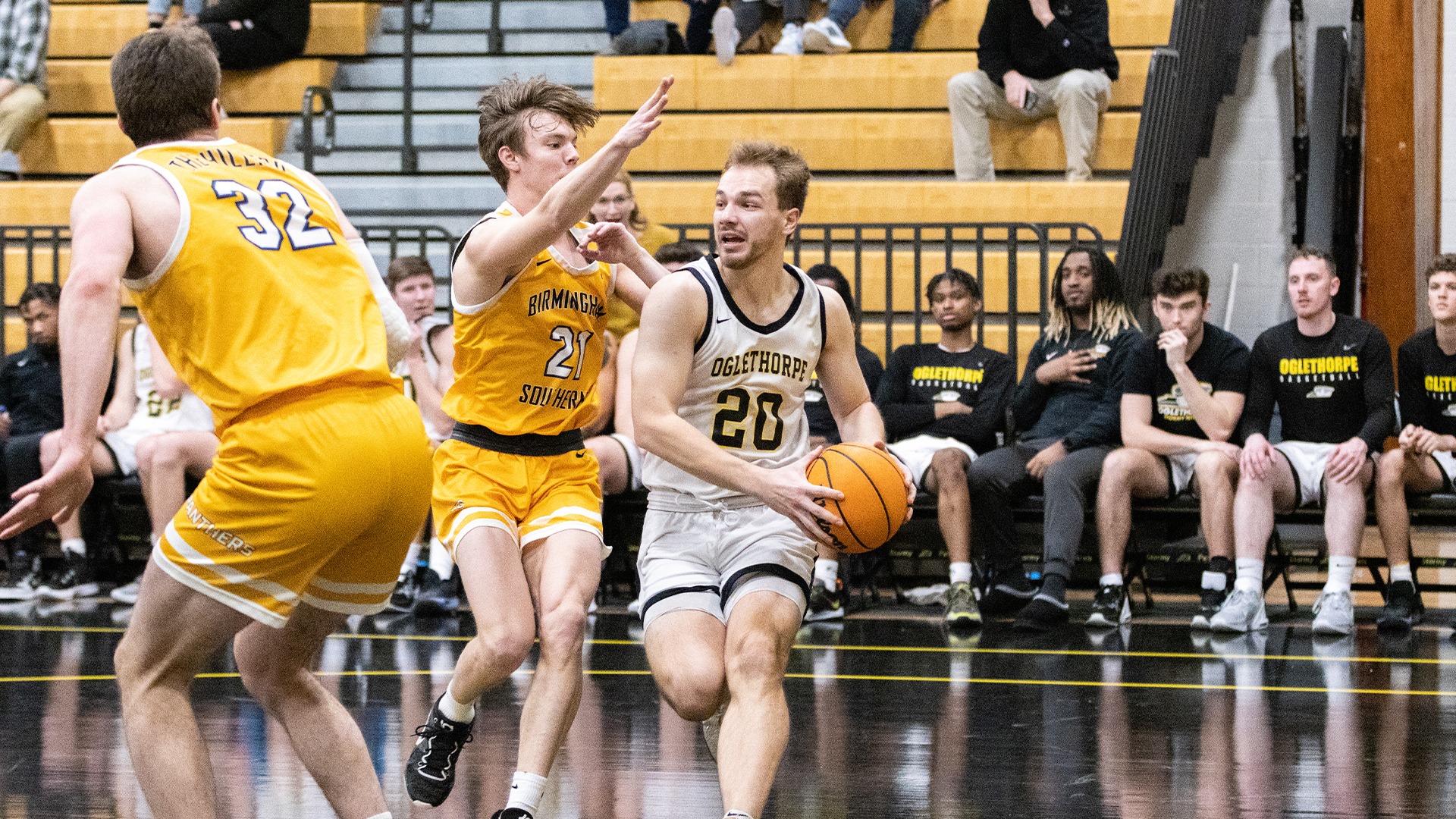 Ryan Jenei - 2022-23 - Men's Basketball - Oglethorpe University