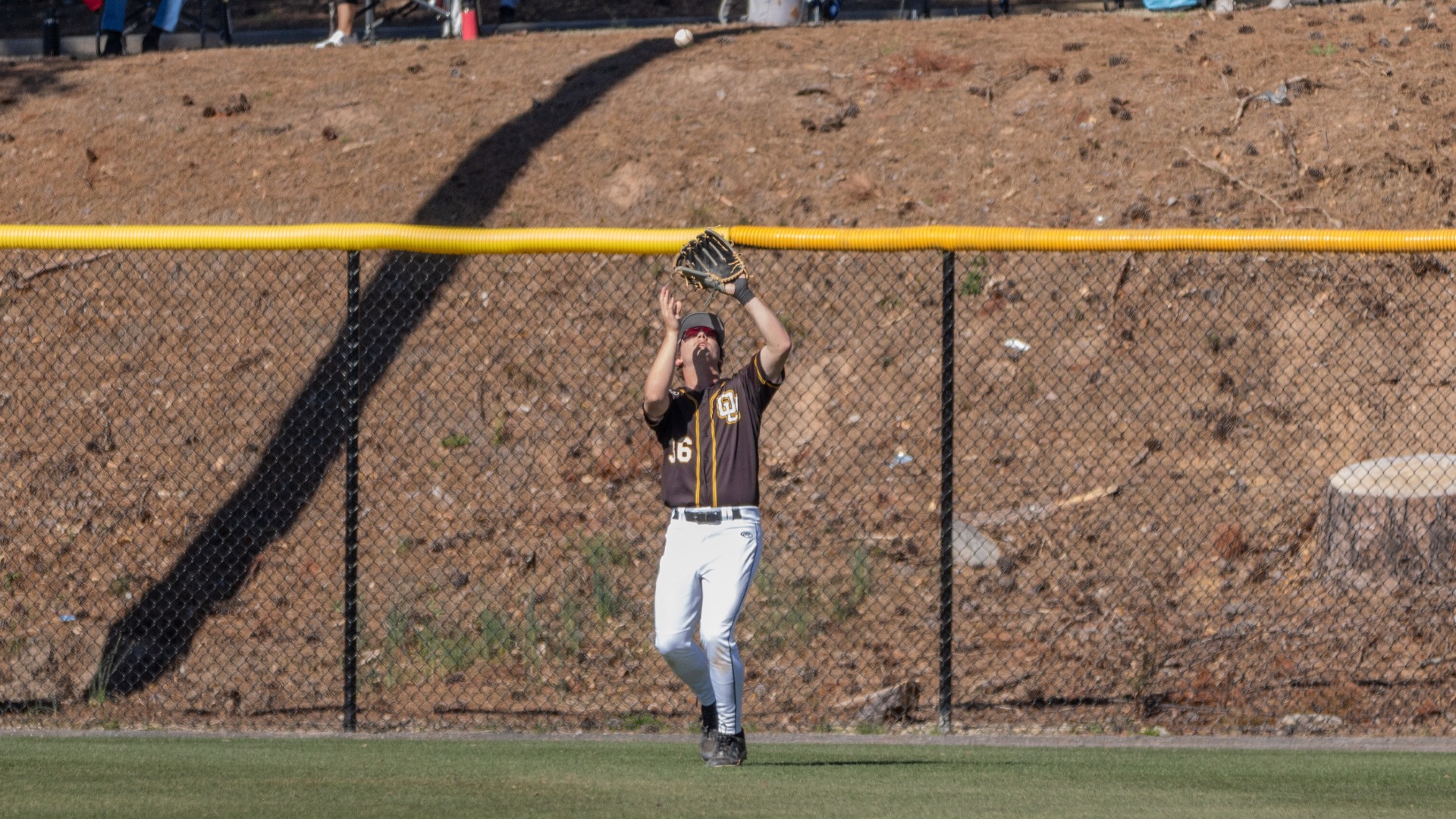Jason Pearson - 2024 - Baseball - Oglethorpe University
