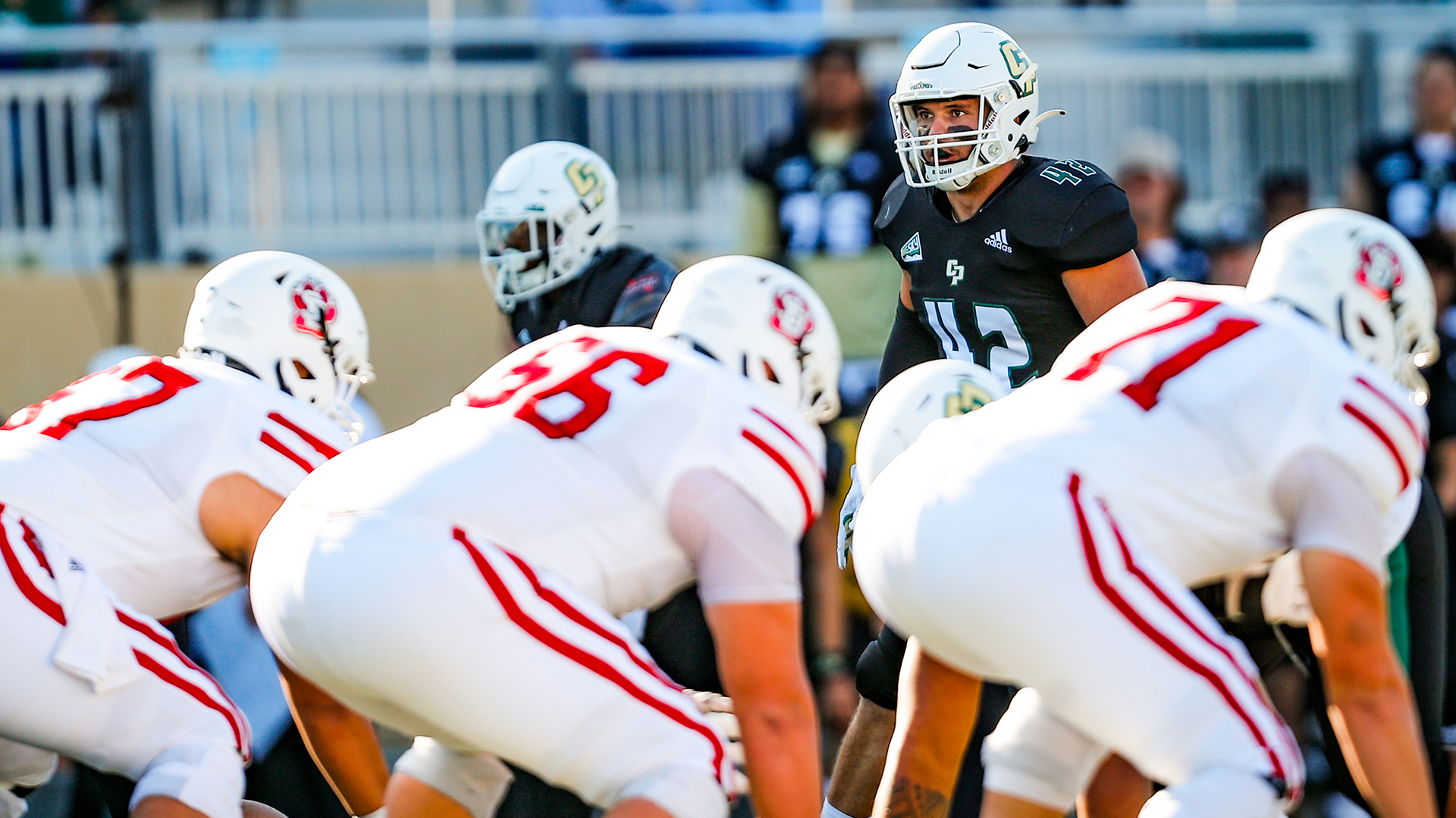 Matt Shotwell - 2021 - Football - Cal Poly