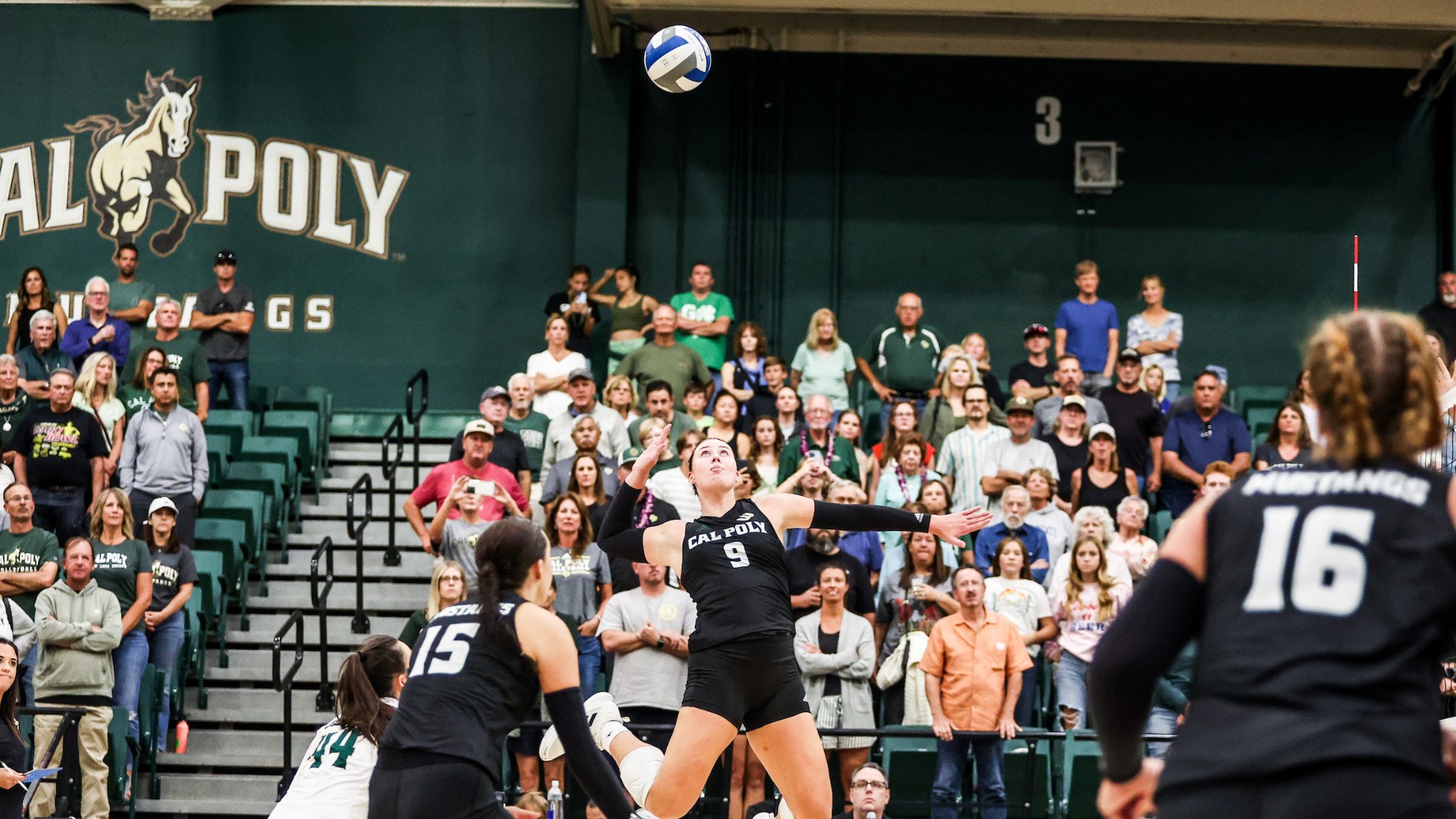 Tommi Stockham - 2024 - Women's Volleyball - Cal Poly