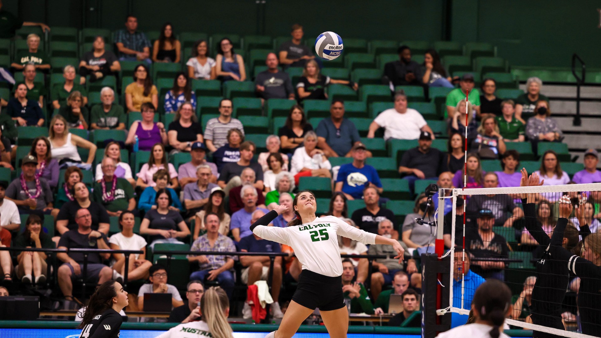 Lizzy Markovska - 2024 - Women's Volleyball - Cal Poly