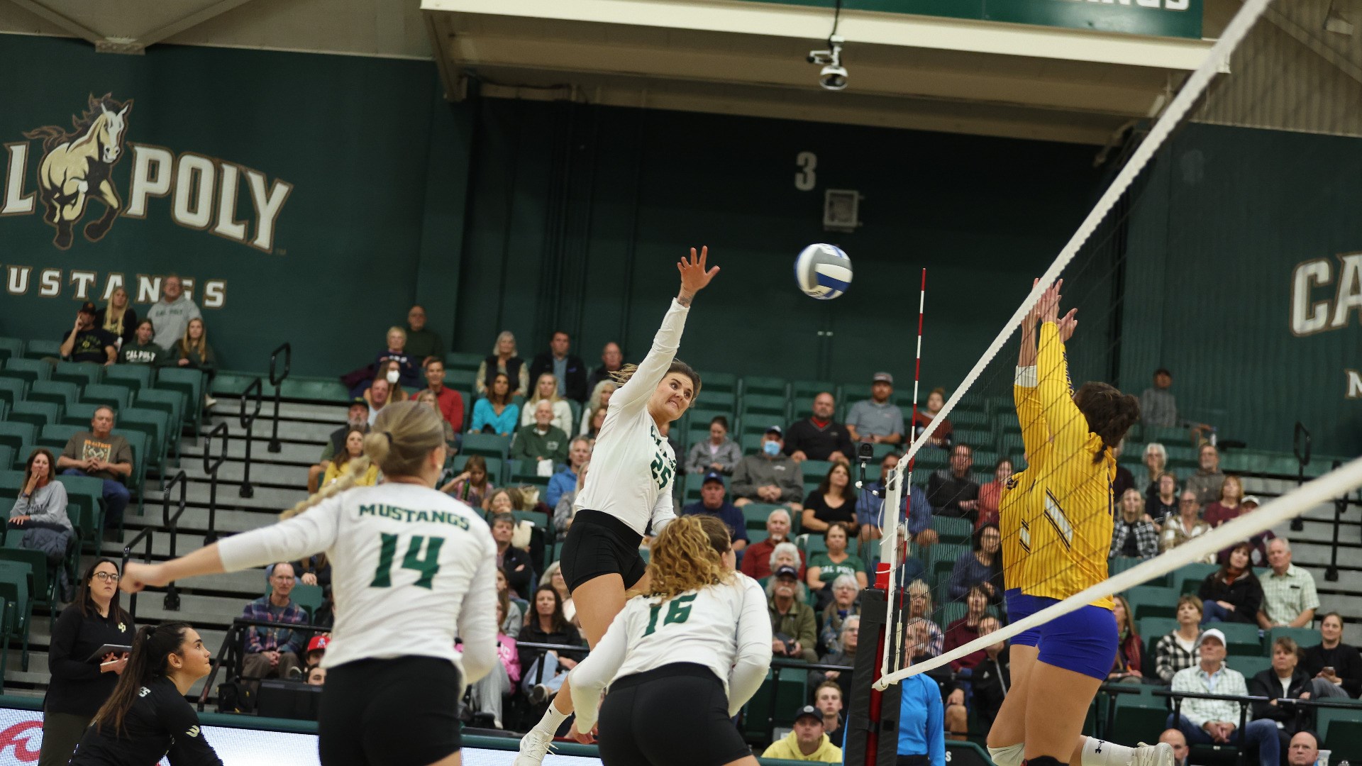 Lizzy Markovska - 2024 - Women's Volleyball - Cal Poly