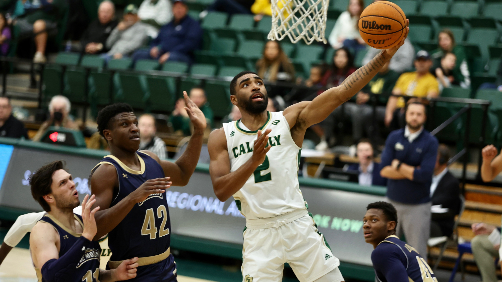 Trevon Taylor - 2022-23 - Men's Basketball - Cal Poly