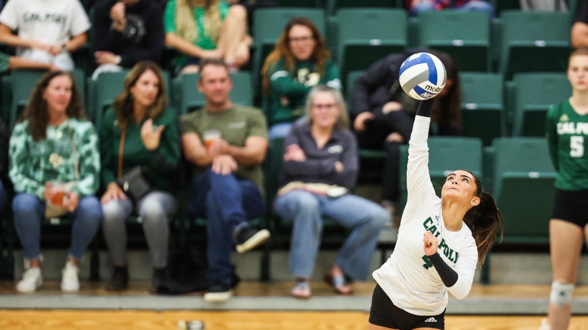 London Haberfield - 2024 - Women's Volleyball - Cal Poly