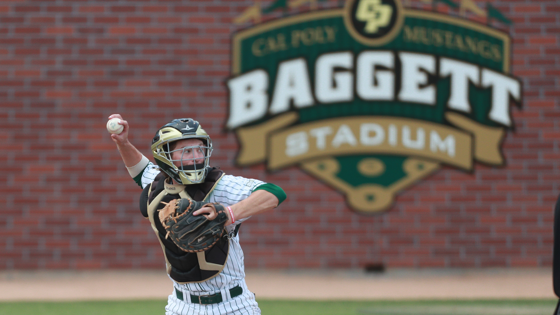 Ryan Stafford - 2024 - Baseball - Cal Poly