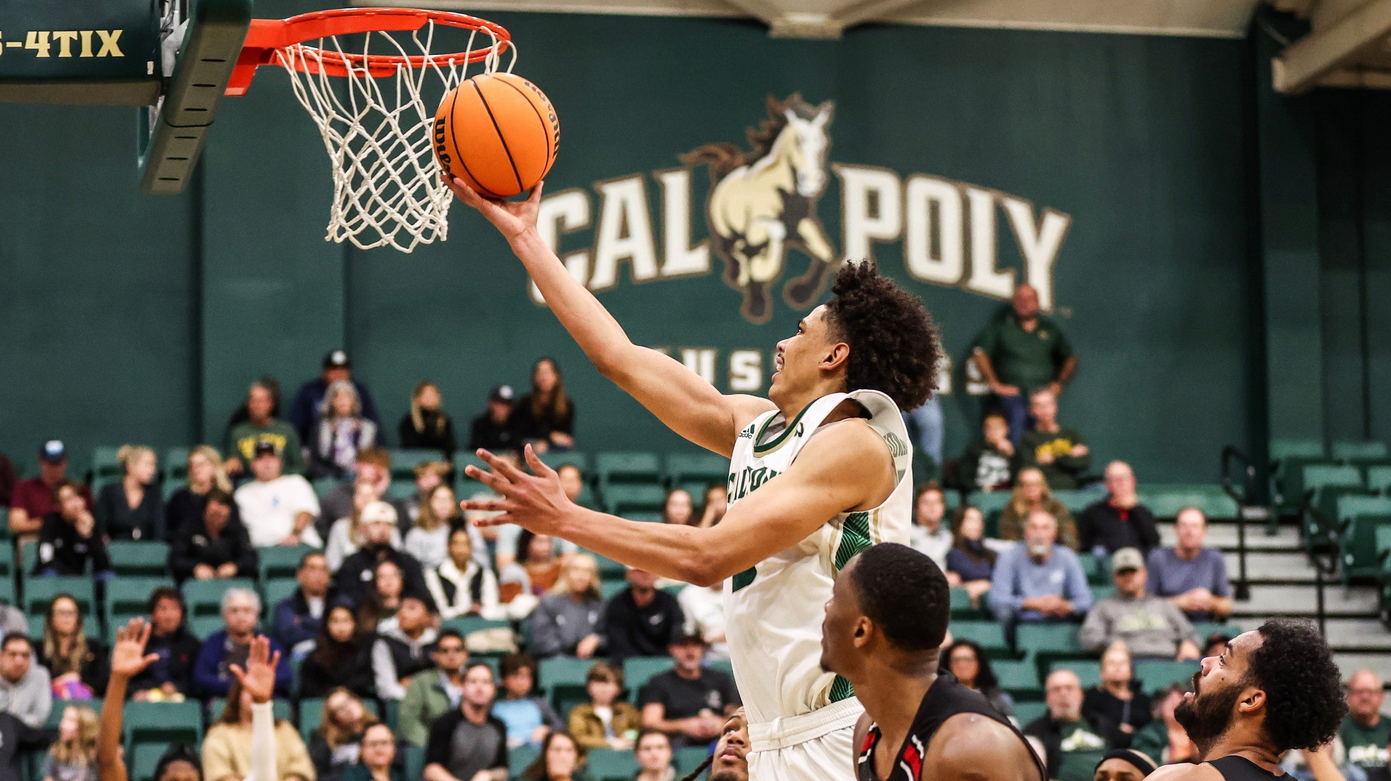 Kobe Sanders - 2023-24 - Men's Basketball - Cal Poly