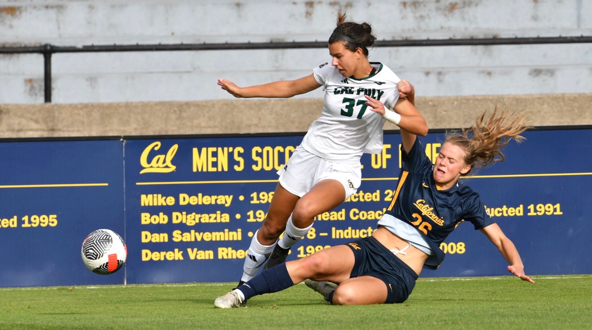 Mustangs Battle, Fall at Cal - Cal Poly