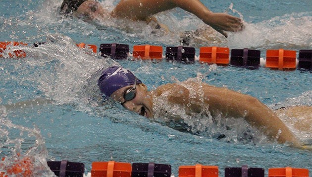 Michelle Tipton - Women's Swimming/Diving - University of Evansville ...
