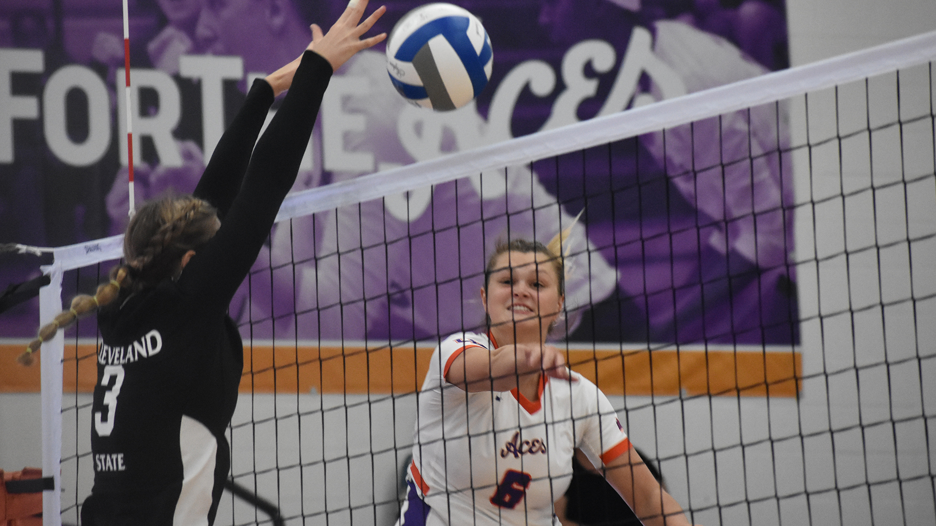 Hannah Watkins - Volleyball - University of Evansville Athletics