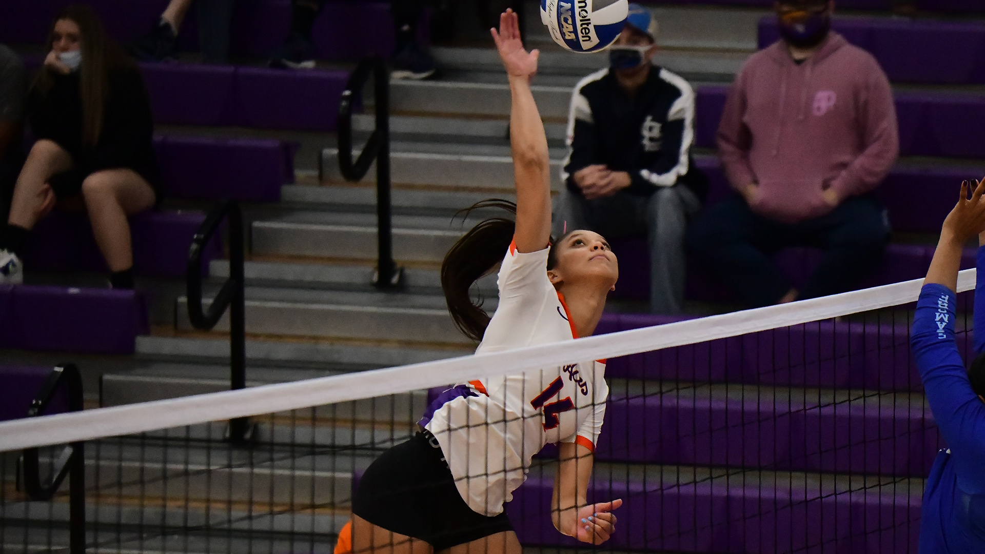 Alondra Vazquez - Volleyball - University of Evansville Athletics