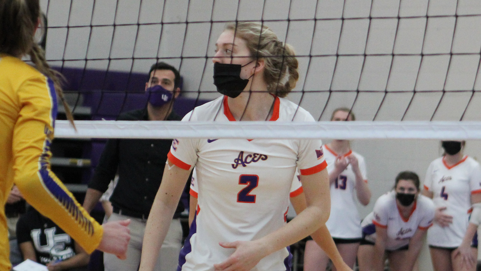Brooke Springer - Volleyball - University of Evansville Athletics
