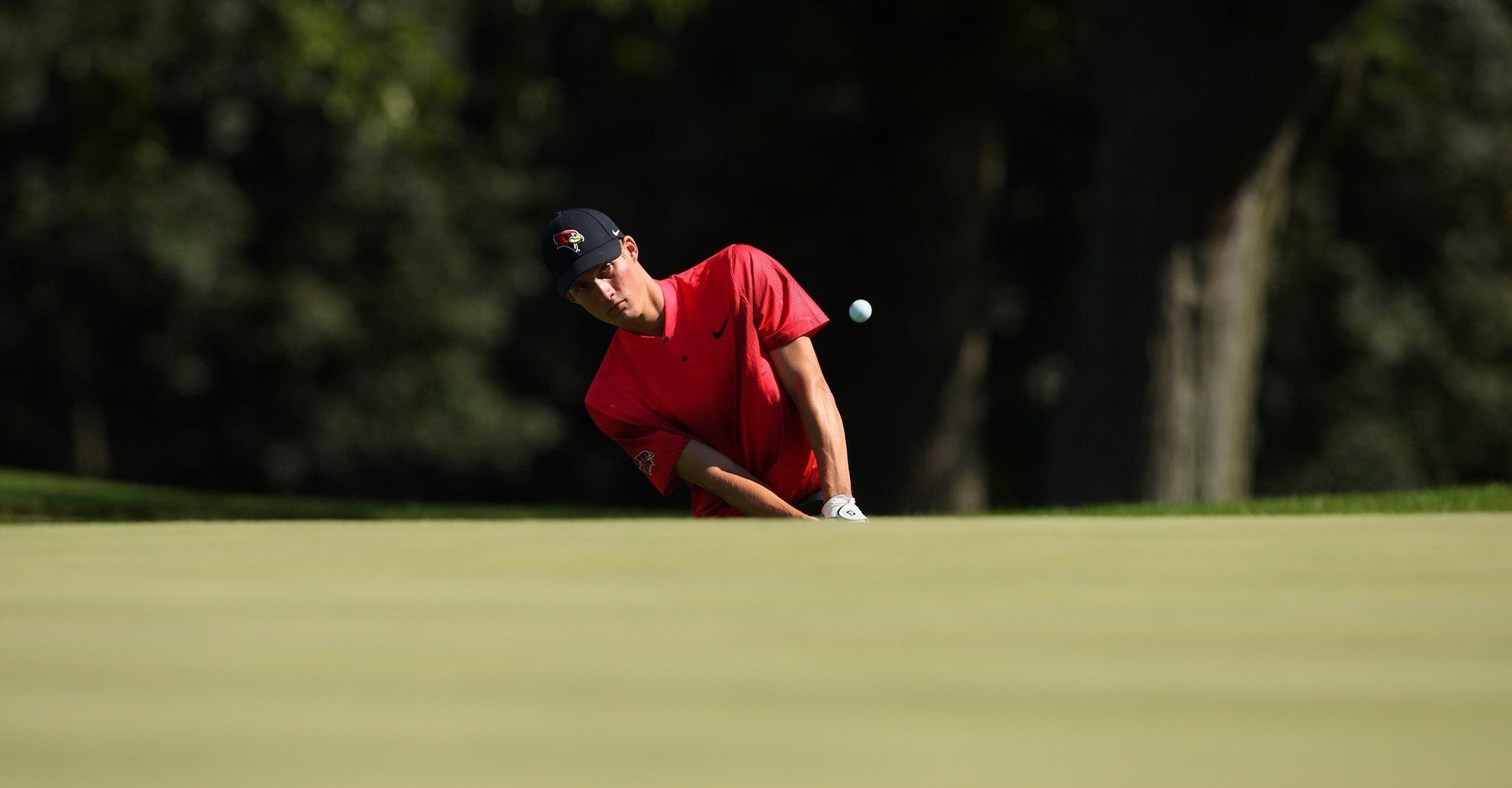 David Rauer - Men's Golf - Illinois State University Athletics