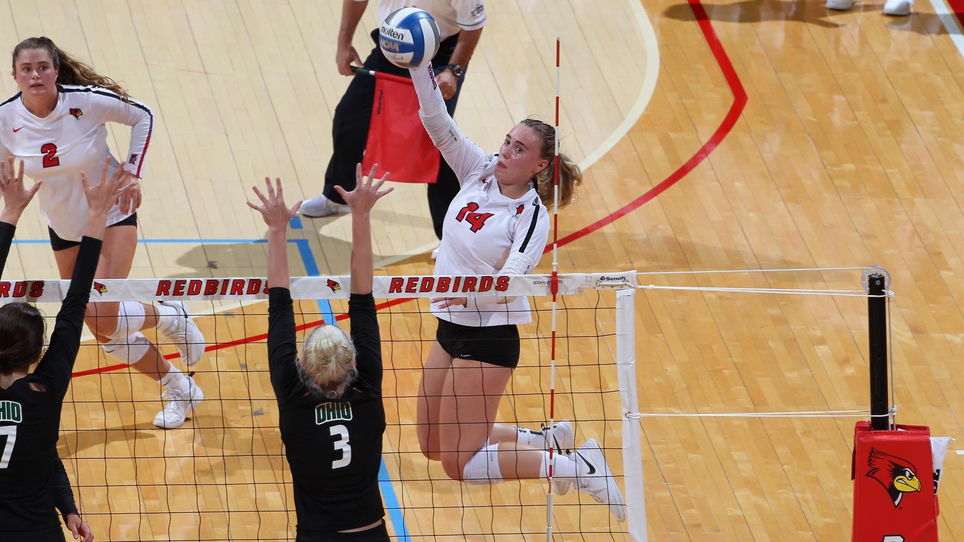 Sarah Kushner - Volleyball - Illinois State University Athletics