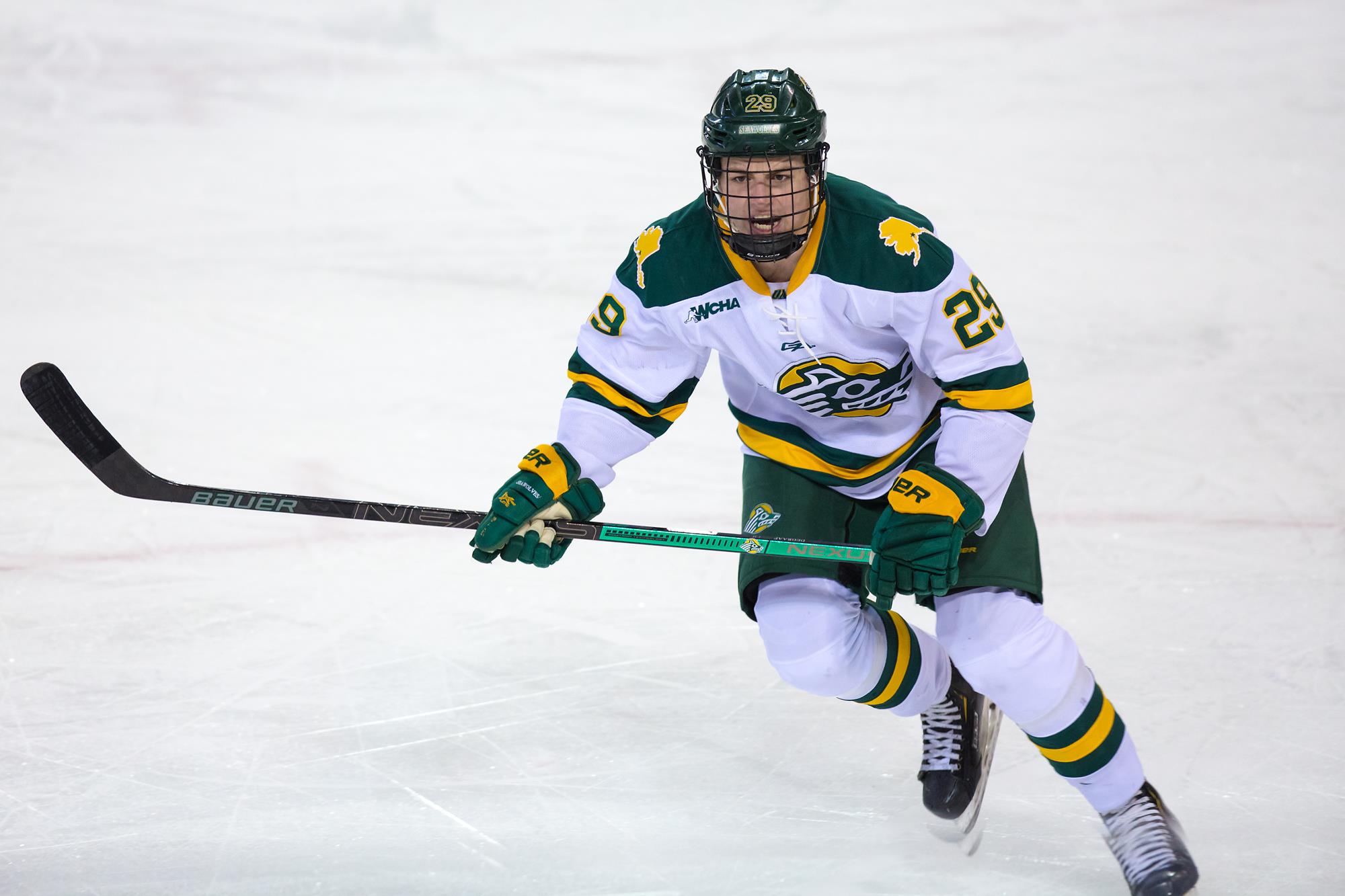 Trey deGraaf | 2019-20 | Men's Ice Hockey | University of Alaska Anchorage