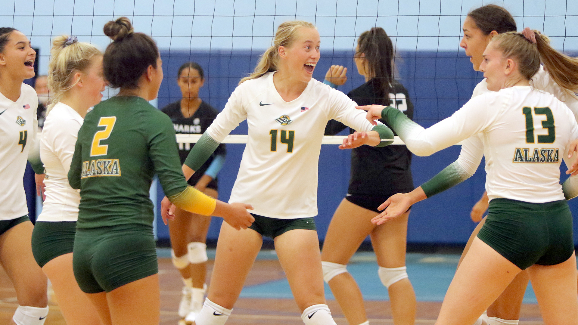 Pluharova's record day helps Seawolves slay Sharks | University of ...