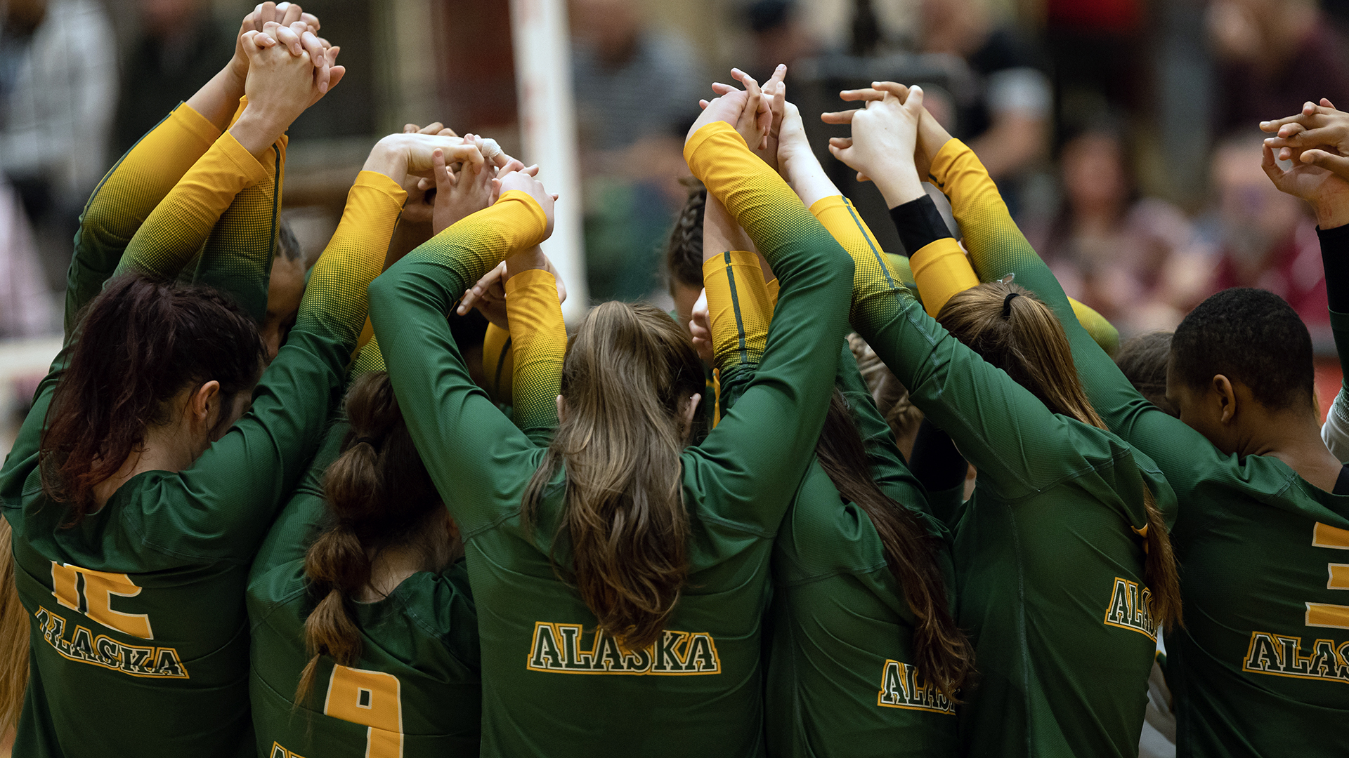 Falcons, 'Jackets invade to begin GNAC second half | University of Alaska Anchorage