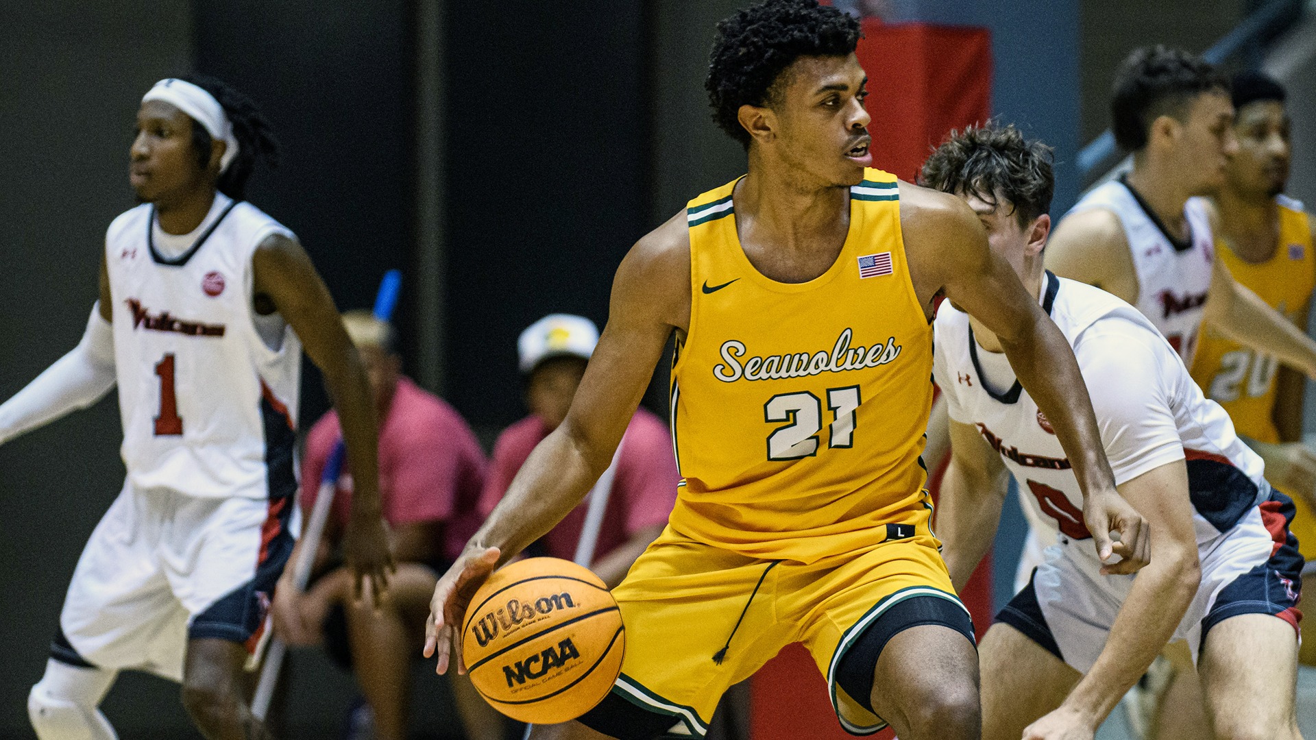 Jaedon Bradley | 2022-23 | Men's Basketball | University of Alaska ...