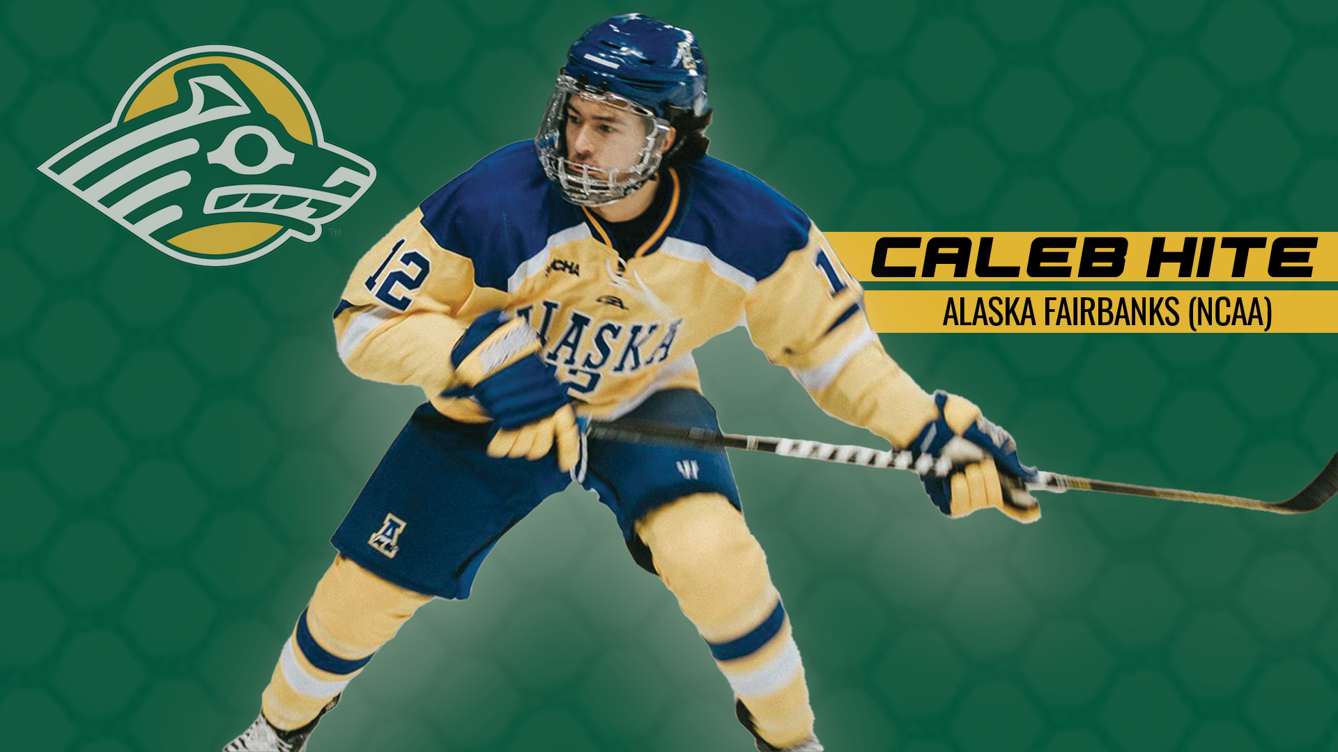 Hockey adds transfer Hite | University of Alaska Anchorage